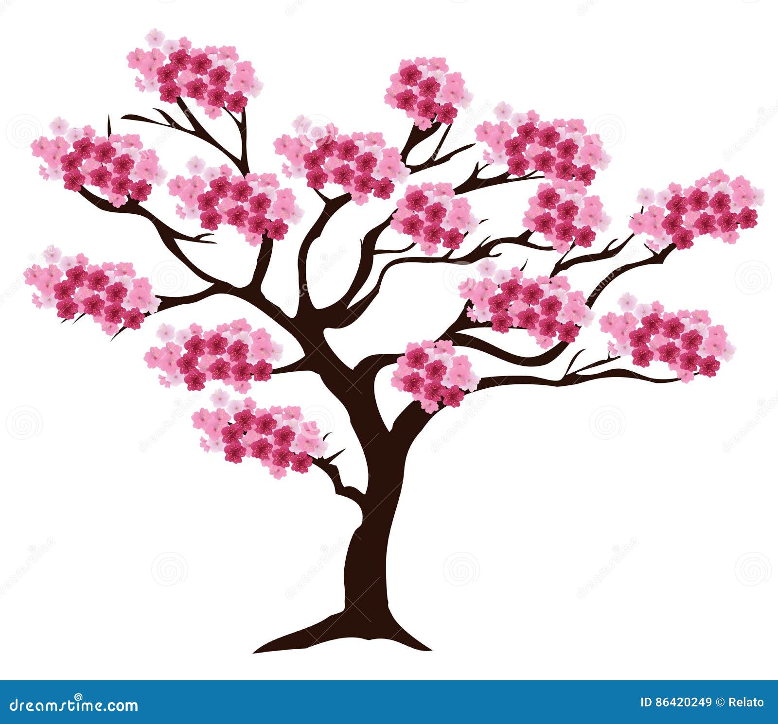 Vector cherry tree stock vector. Illustration of pattern - 86420249