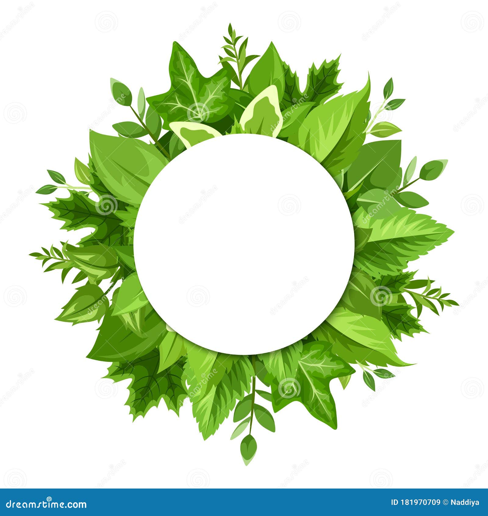 Vector Circle Card with Green Leaves. Stock Vector - Illustration of ...
