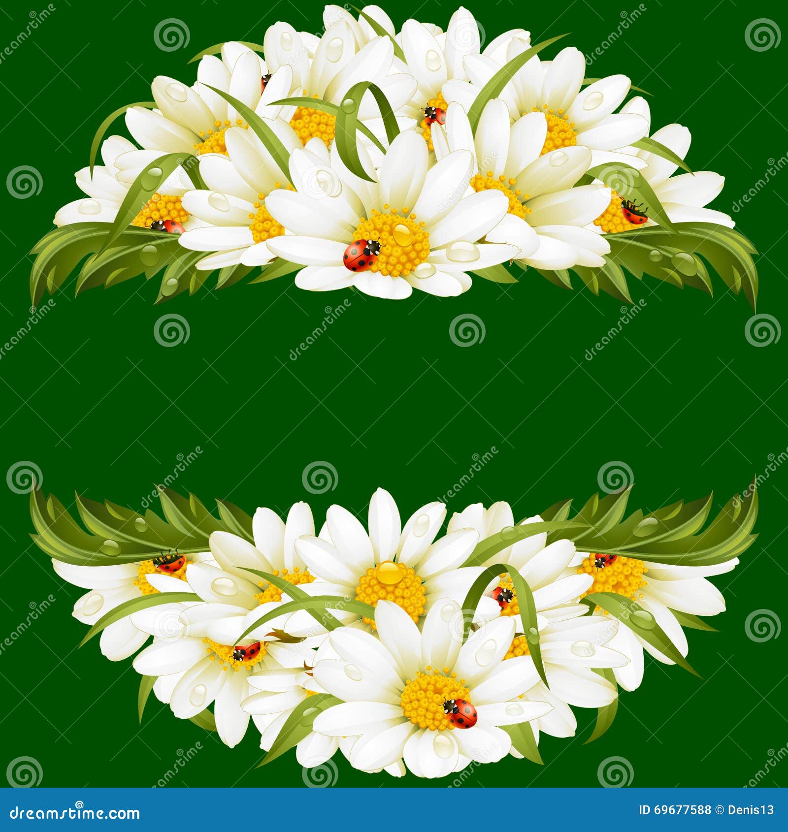 Vector Circle Frame with Chamomile Stock Vector - Illustration of ...
