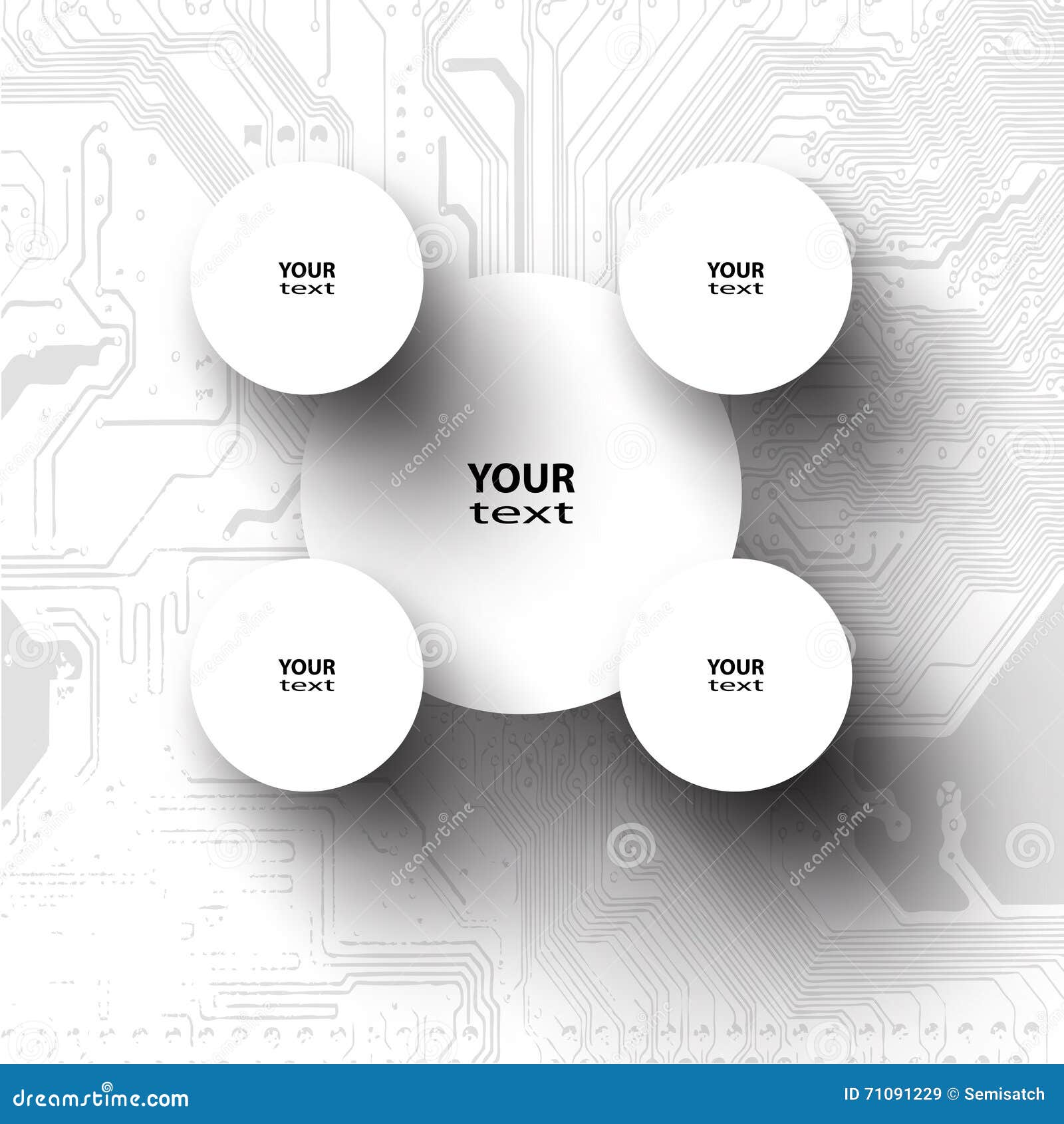 Vector Circle Infographic Microchip Concept Stock Illustration ...