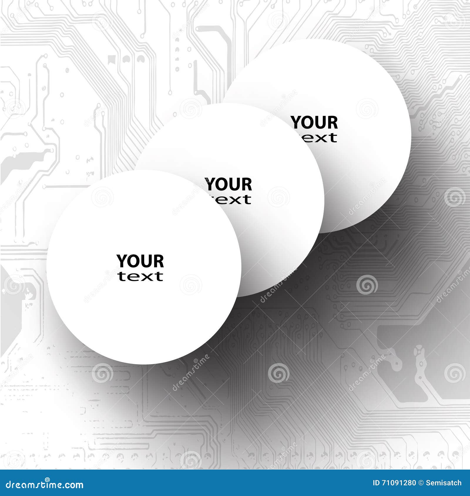 Vector Circle Infographic Microchip Concept Stock Illustration ...