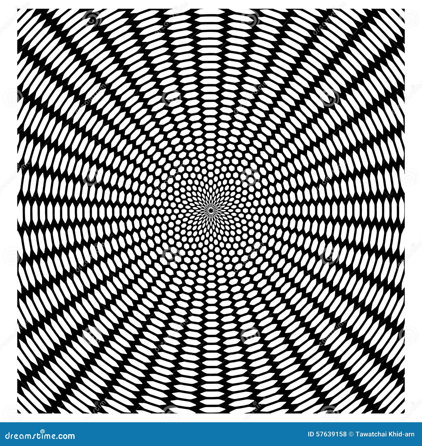 Vector Circular Pattern Like a Spider Web, Black and White Abst Stock ...