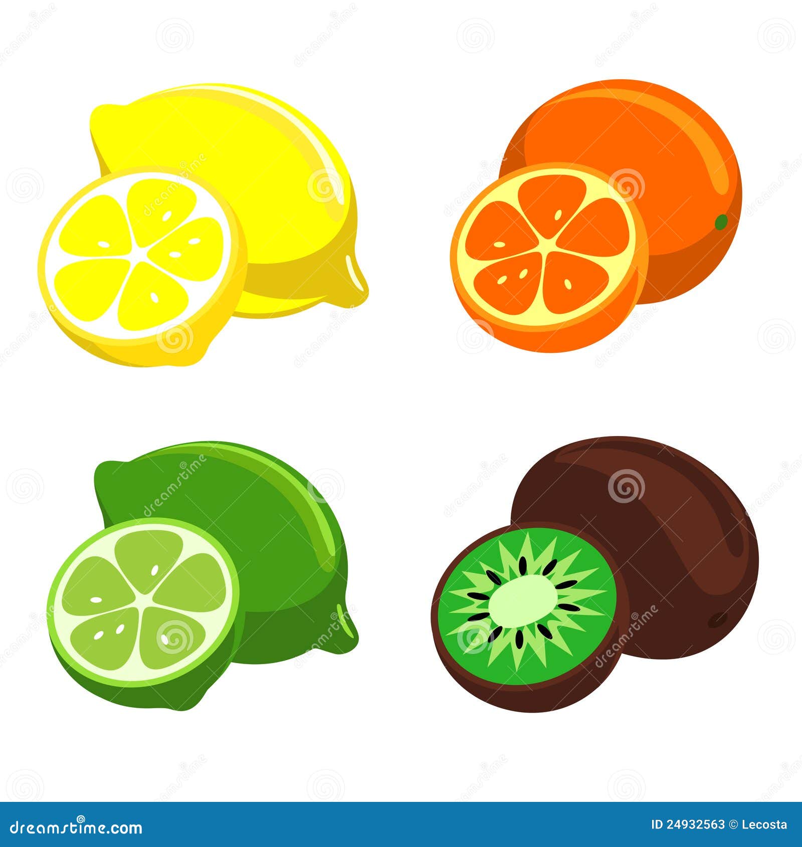 Vector citrus fruit stock vector. Illustration of citrus - 24932563