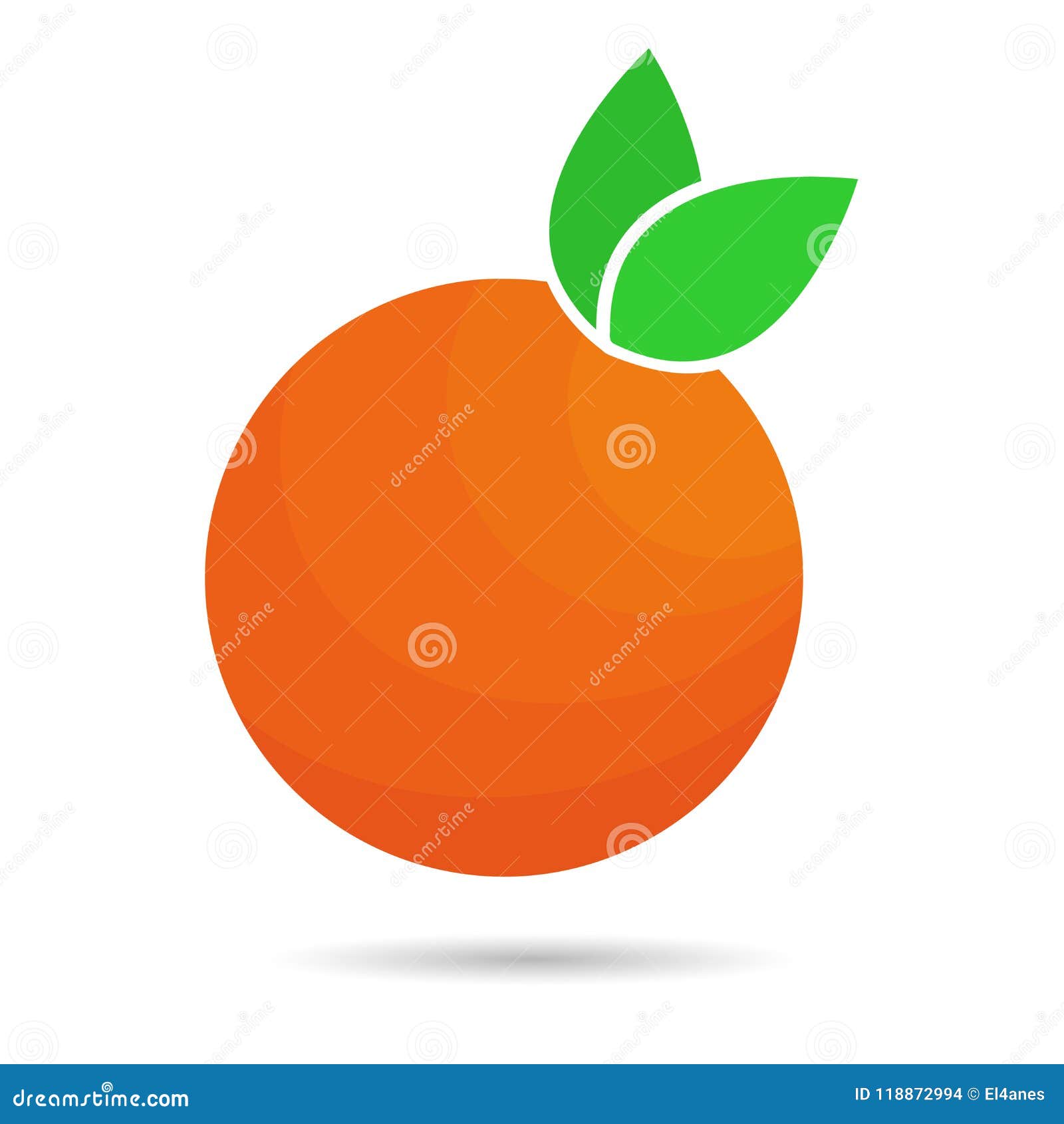 Vector Citrus Icon Isolated on White Stock Vector - Illustration of ...