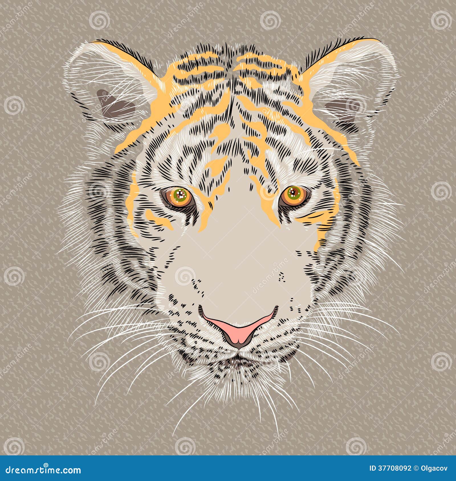 Vector Closeup Portrait of a Serious Tiger Stock Vector - Illustration ...