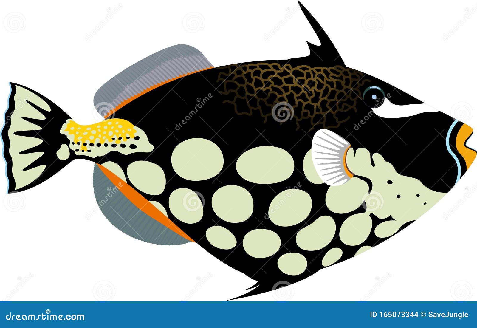 Clown Trigger Fish. Hand Drawing Sketch. Black Outline On White ...