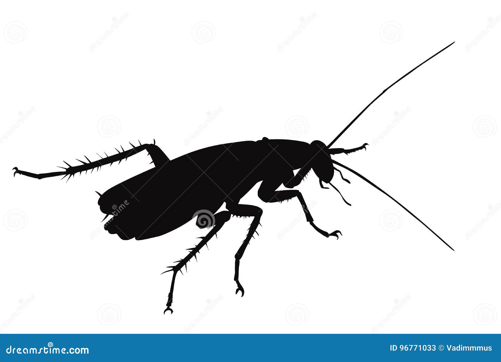 Vector cockroach stock vector. Illustration of disgusting - 96771033