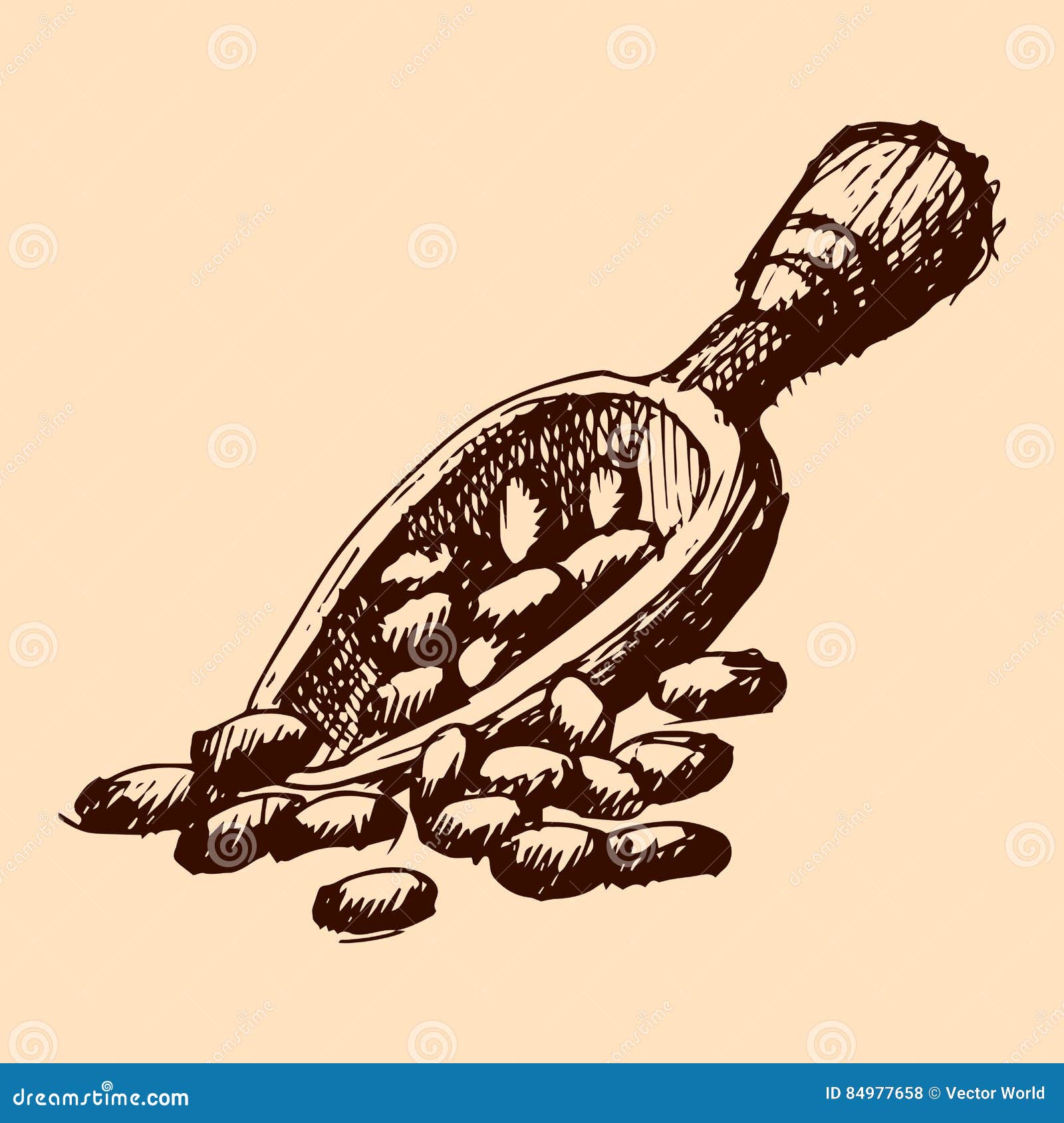 Vector Cocoa Hand Drawn Plate Sketch Illustration. | CartoonDealer.com ... Vector Cocoa Hand Drawn Plate Sketch Illustration. | CartoonDealer.com ...