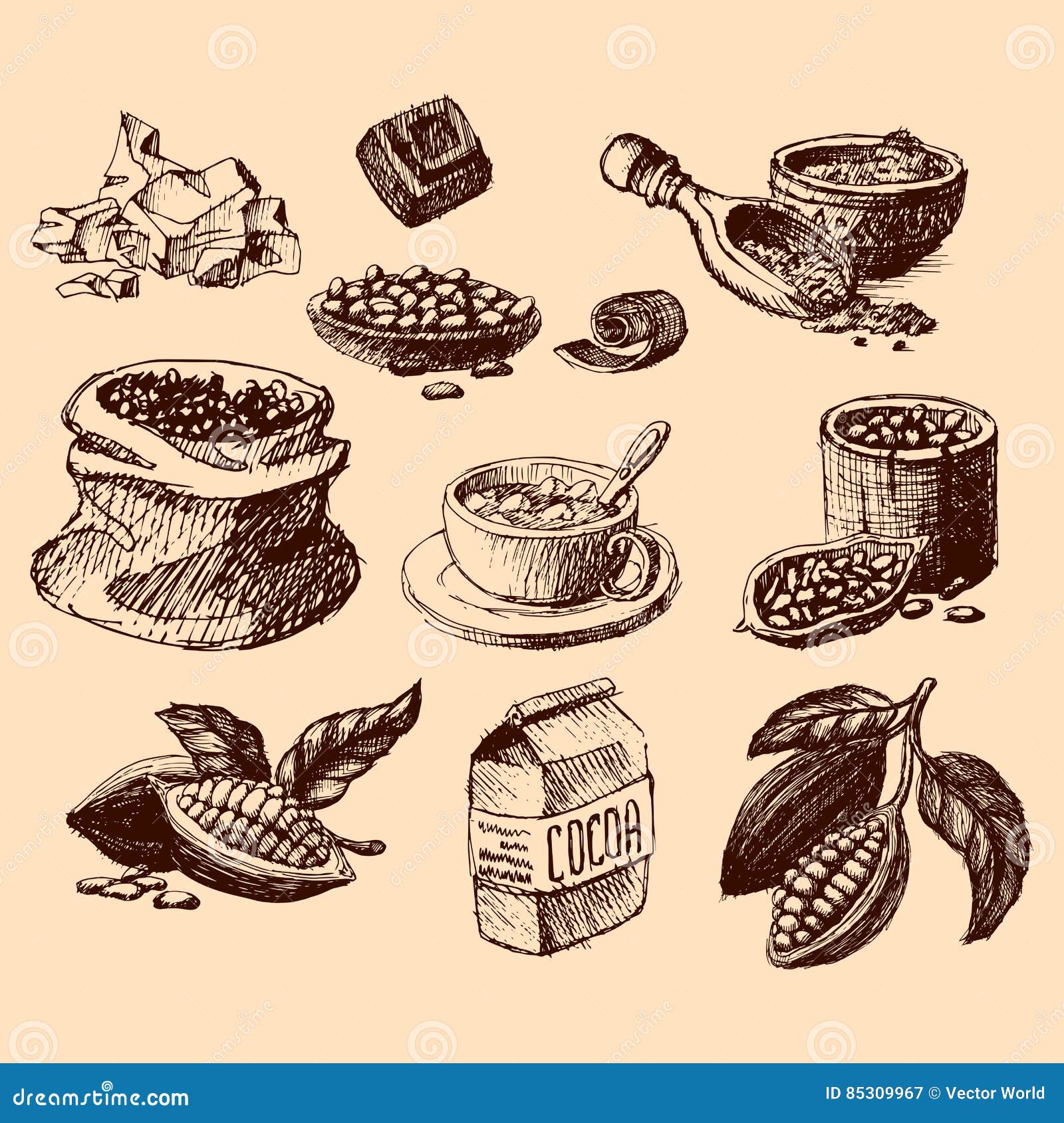 Vector Cocoa Hand Drawn Sketch Illustration. | CartoonDealer.com #85309967 Vector Cocoa Hand Drawn Sketch Illustration. | CartoonDealer.com #85309967