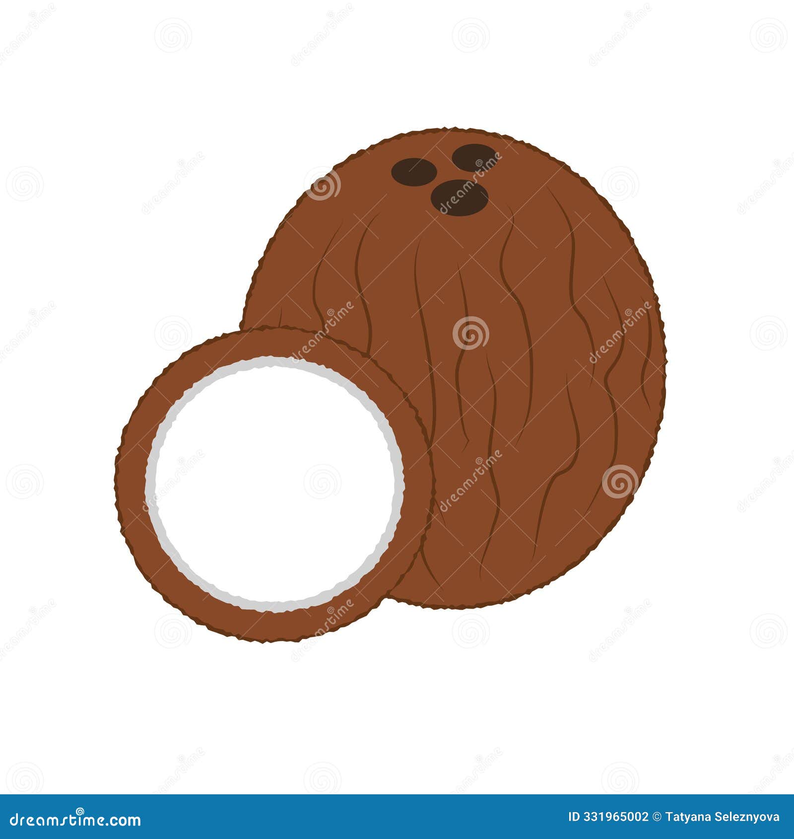 Vector Coconut Whole and Half Cartoon. Tropical Fruit Stock ...