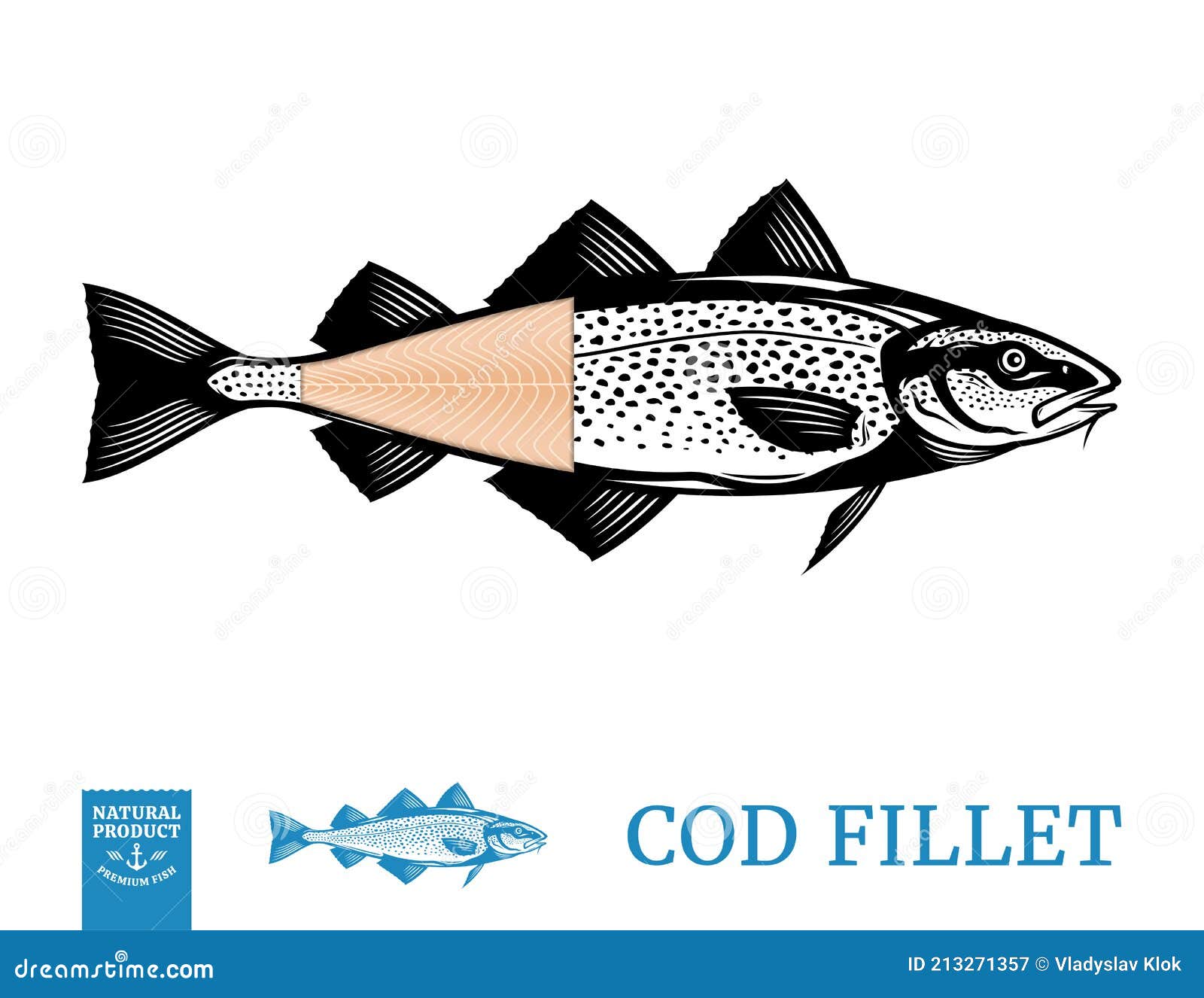 Vector Cod Fish Illustration with Fillet Stock Vector - Illustration of ...