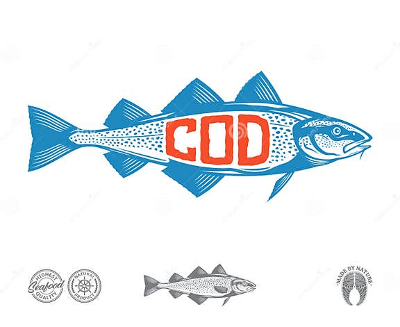Vector cod fish label stock vector. Illustration of ocean - 213271365