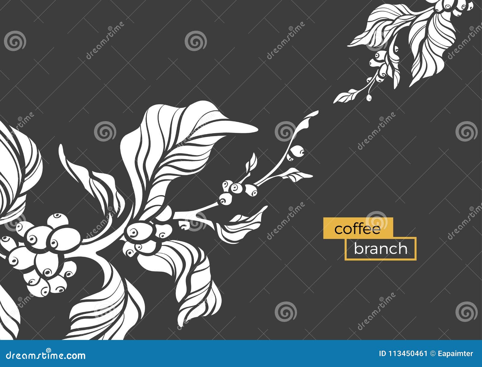 Vector Coffee Tree Branch. Template Stock Vector - Illustration of ...