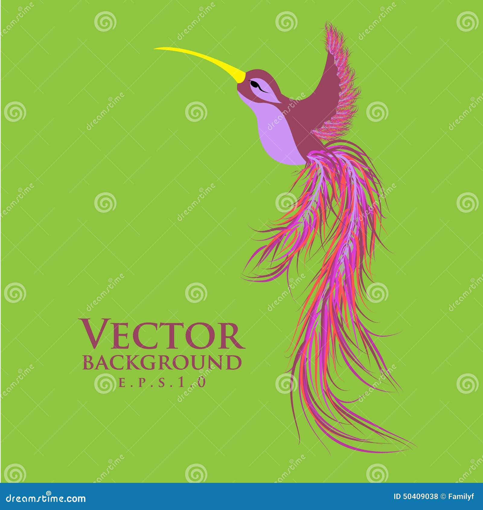 Vector Colibri Pink. Graceful Hummingbird Stock Vector - Illustration ...
