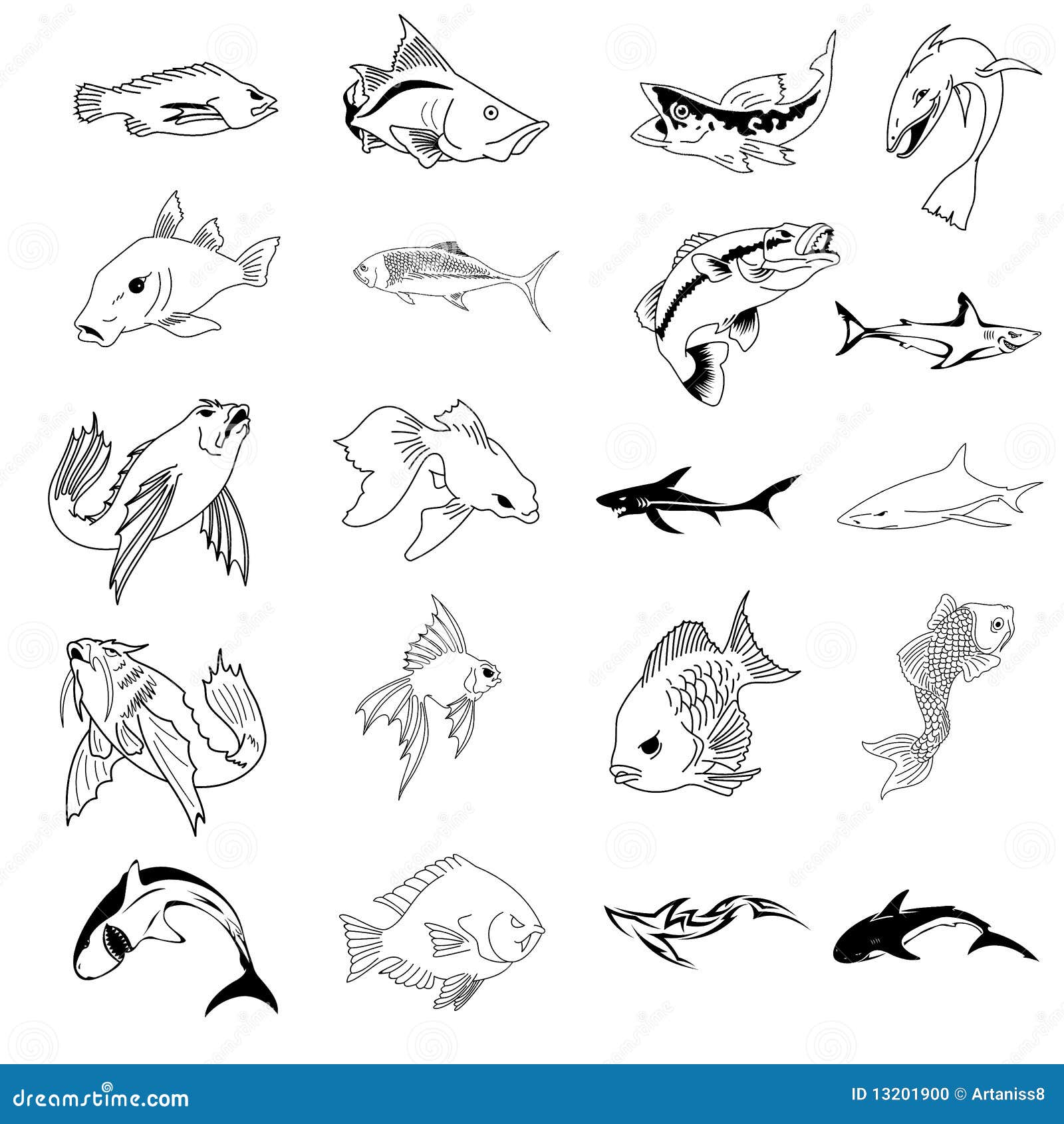 Vector Collection of 30 Fish Types Stock Vector - Illustration of trout ...