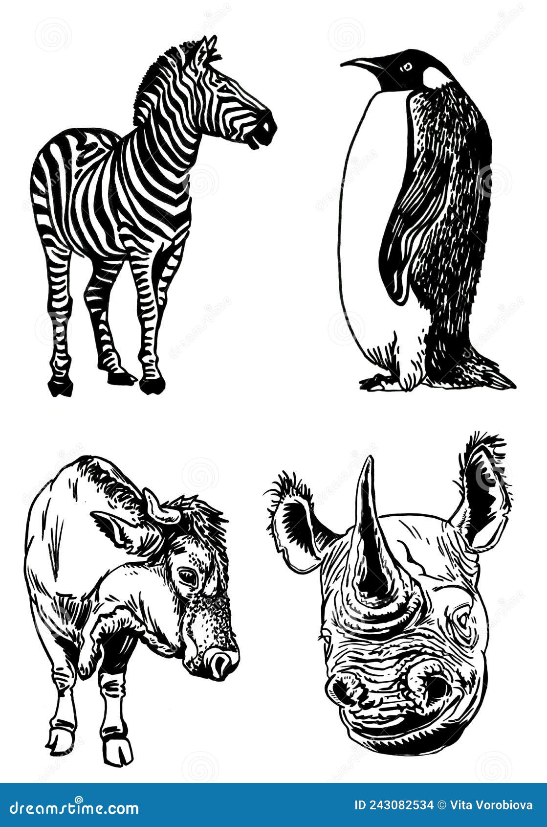 Vector Collection of Animals on White Isolated,graphical Elements Rhino ...