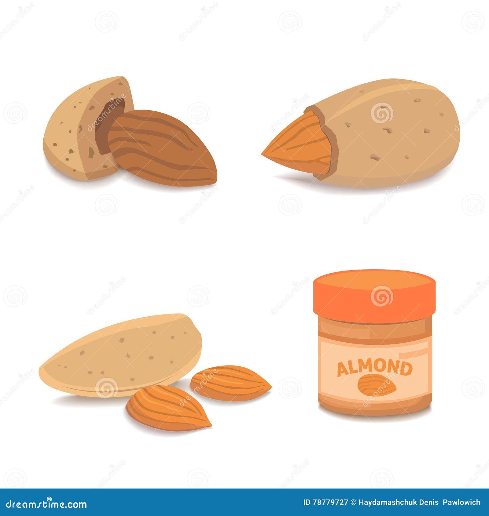 Vector Collection of Cartoon I9solated Almond Stock Vector ...