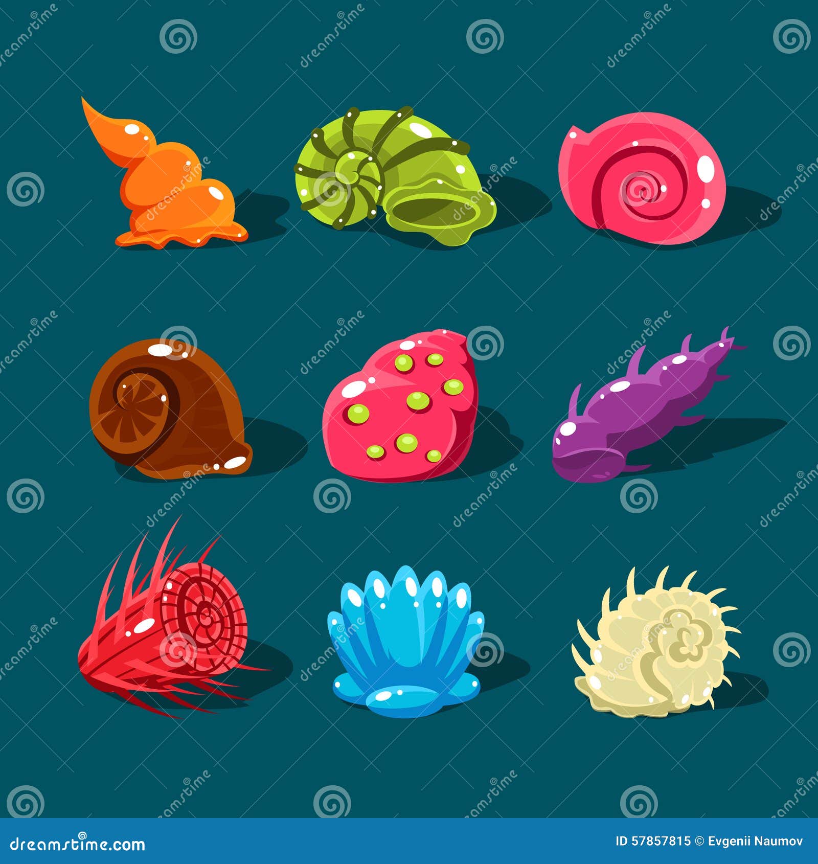 Vector Collection of Colorful Shells Stock Vector - Illustration of ...