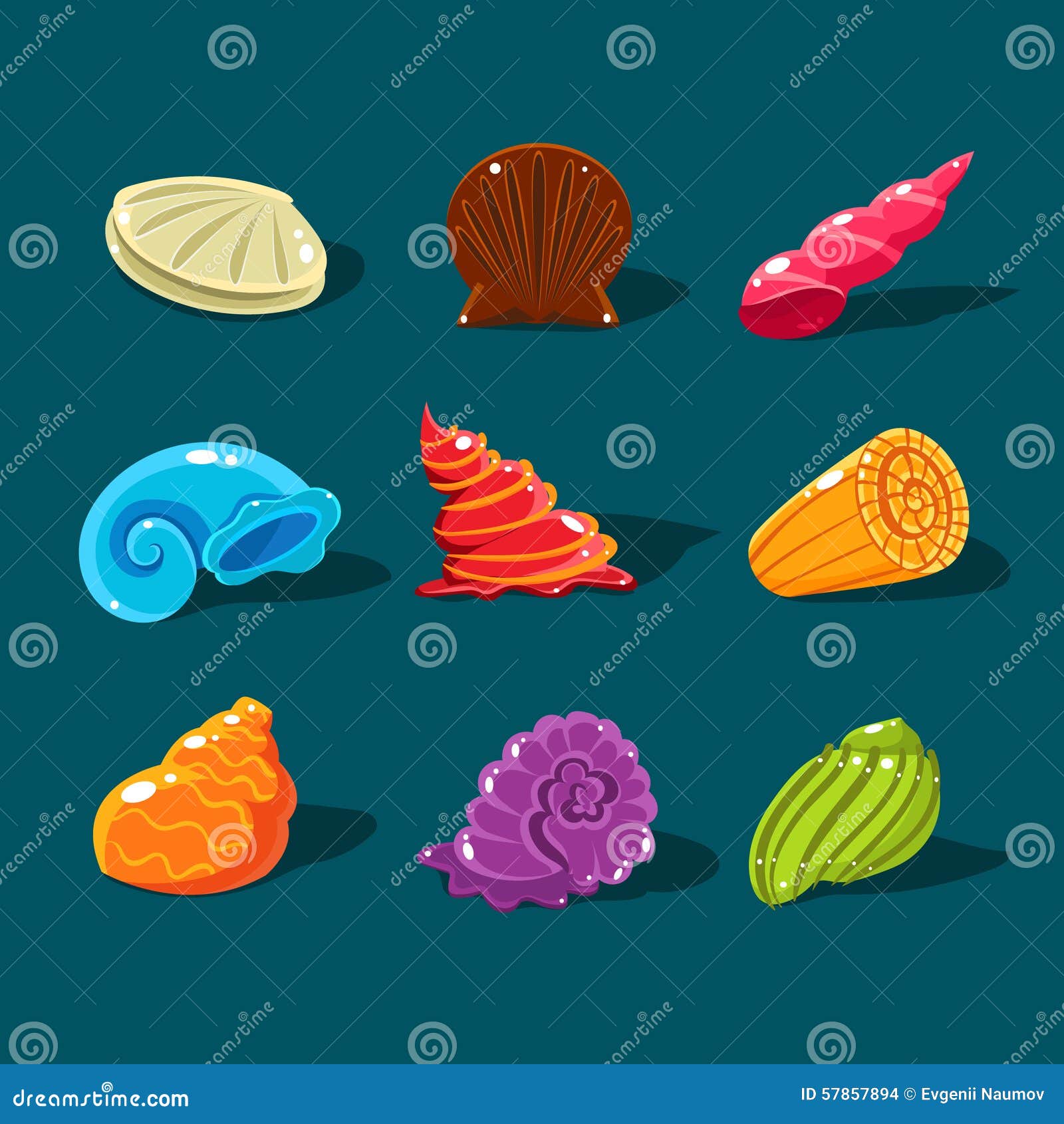 Vector Collection of Colorful Shells Stock Vector - Illustration of ...