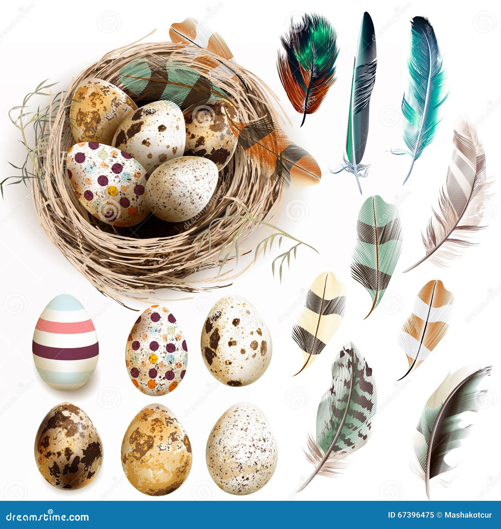 Vector Collection with Easter Eggs Bird Nest Feathers in Vintage Stock ...