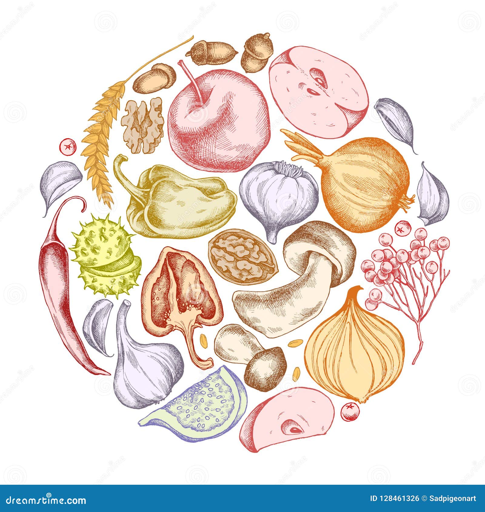 Vector Collection of Hand Drawn Autumn Vegetables Round Shape Stock ...