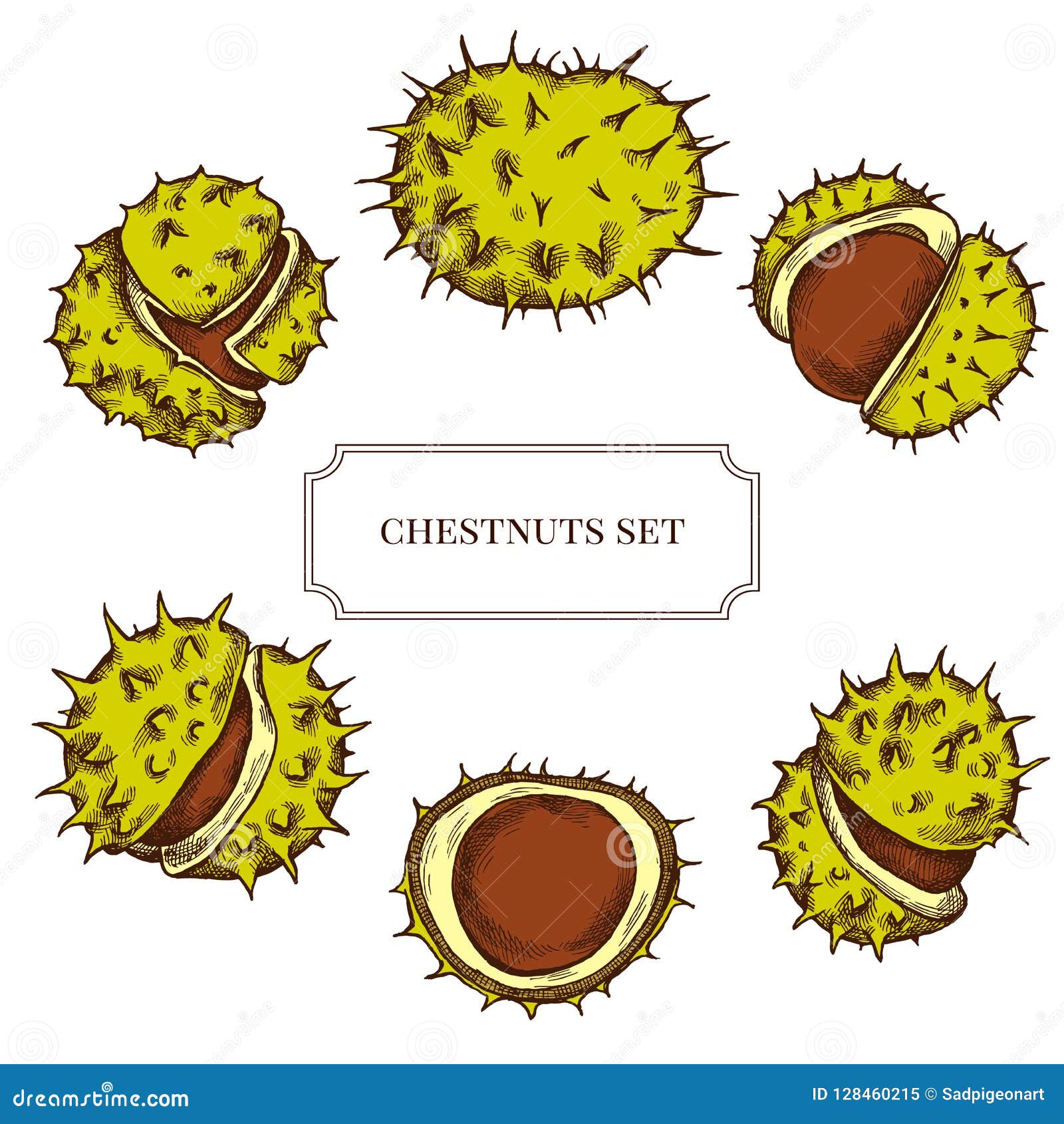 Buckeyes Cartoons, Illustrations & Vector Stock Images - 25 Pictures to ...