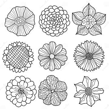 Vector Collection of Hand Drawn Flowers Stock Vector - Illustration of ...