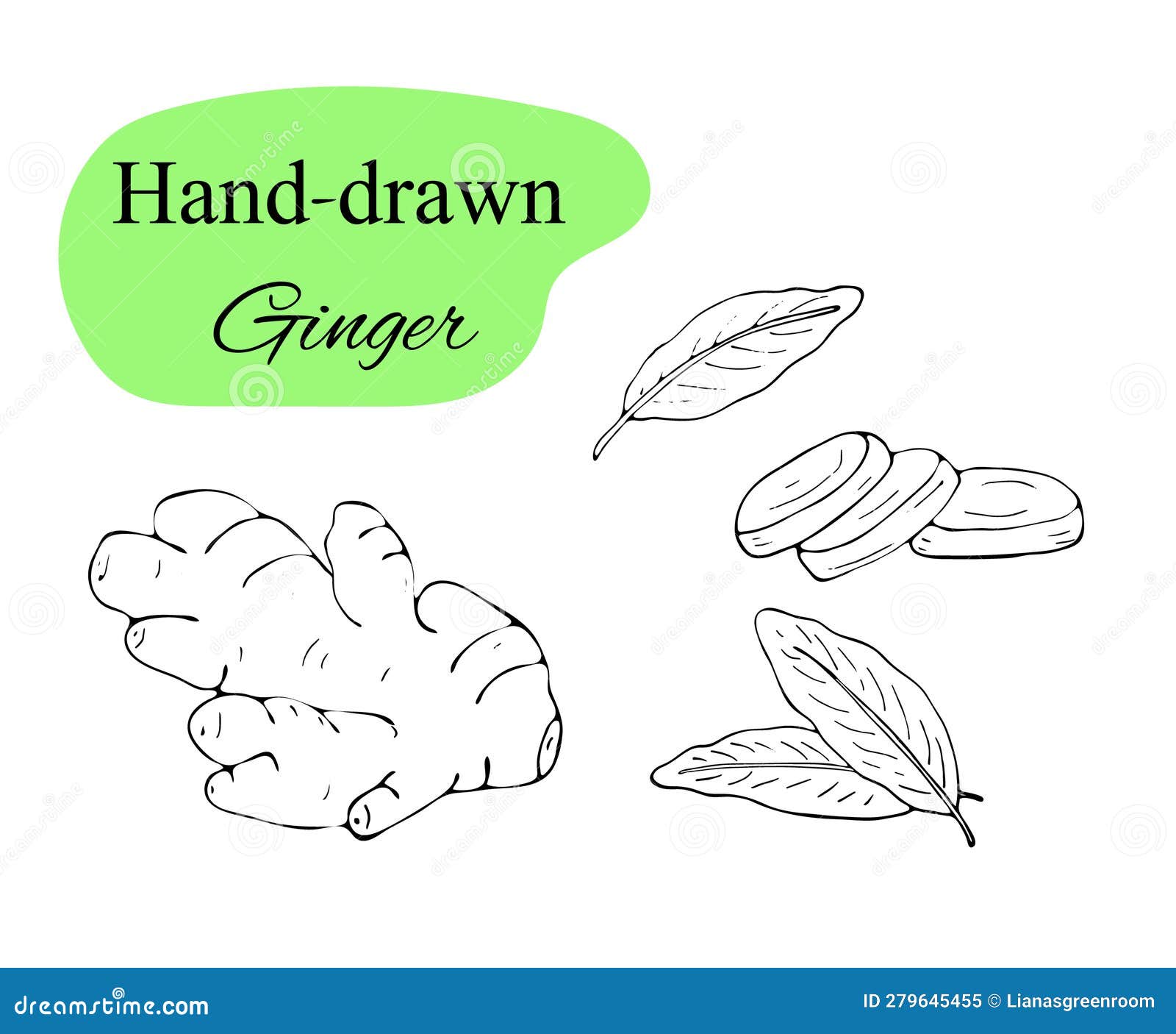 Hand drawn ginger set stock vector. Illustration of design - 279645455