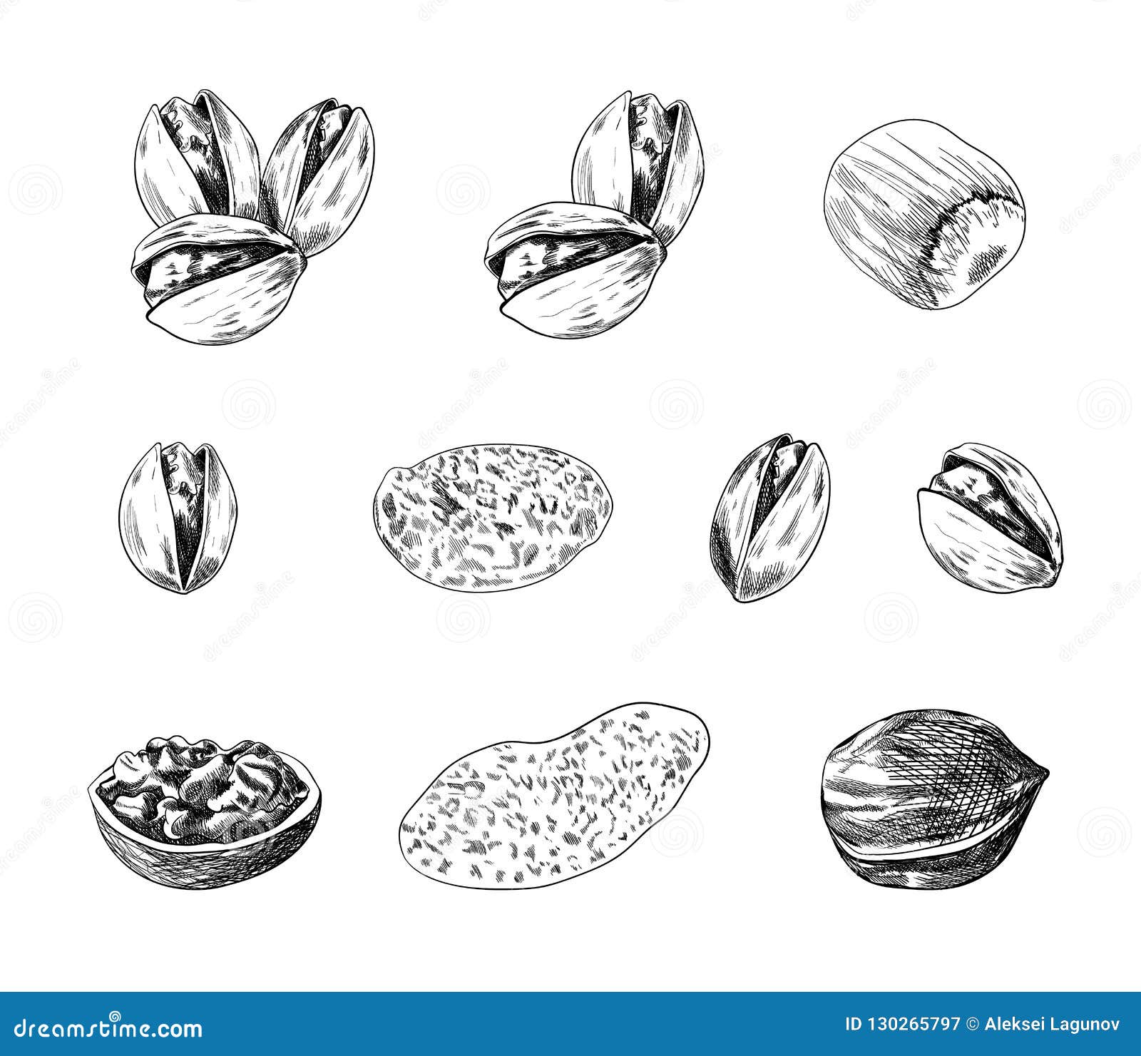 Vector Collection of Hand Drawn Nuts, Different Nuts, Sketch Style ...
