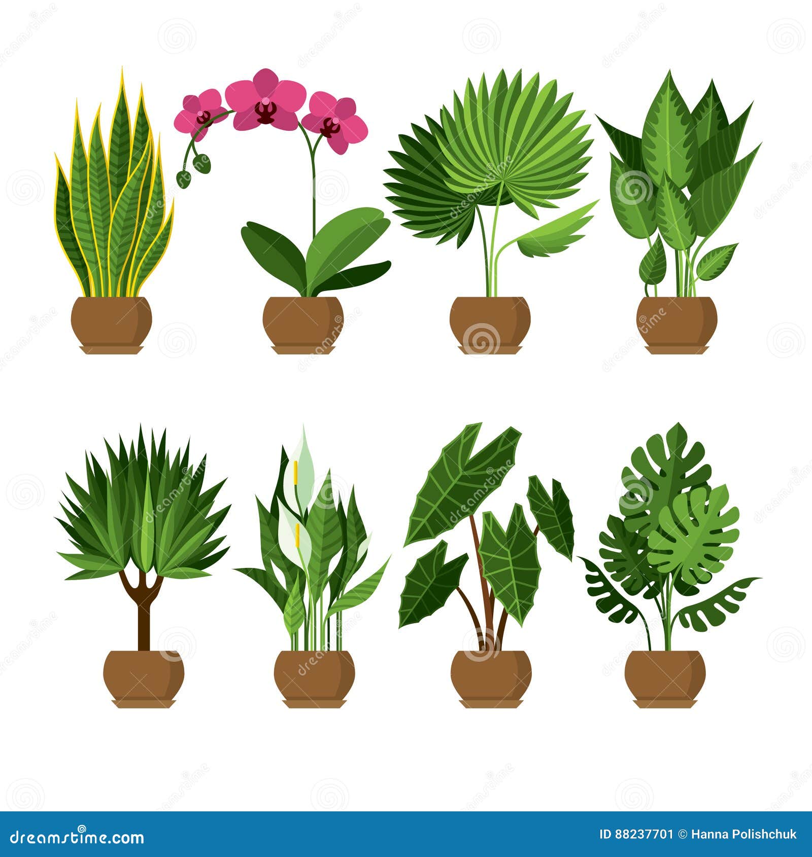 Vector Collection of Indoor, House Plants in Pots. Stock Vector ...