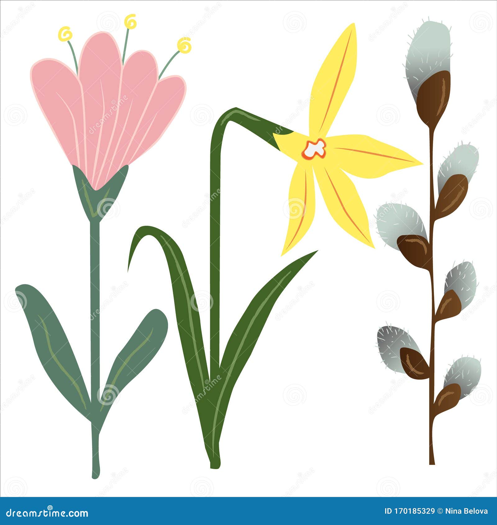 Vector Collection of Isolated Spring Flowers on White. Various Elements ...