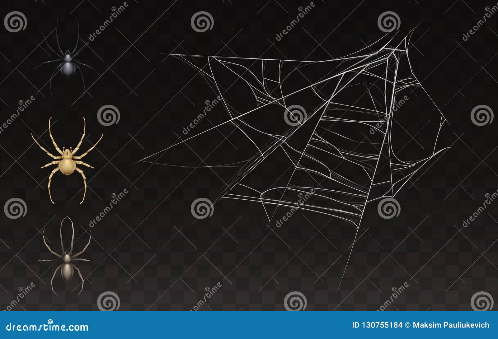 Vector Collection of Realistic Web with Spider Stock Vector ...