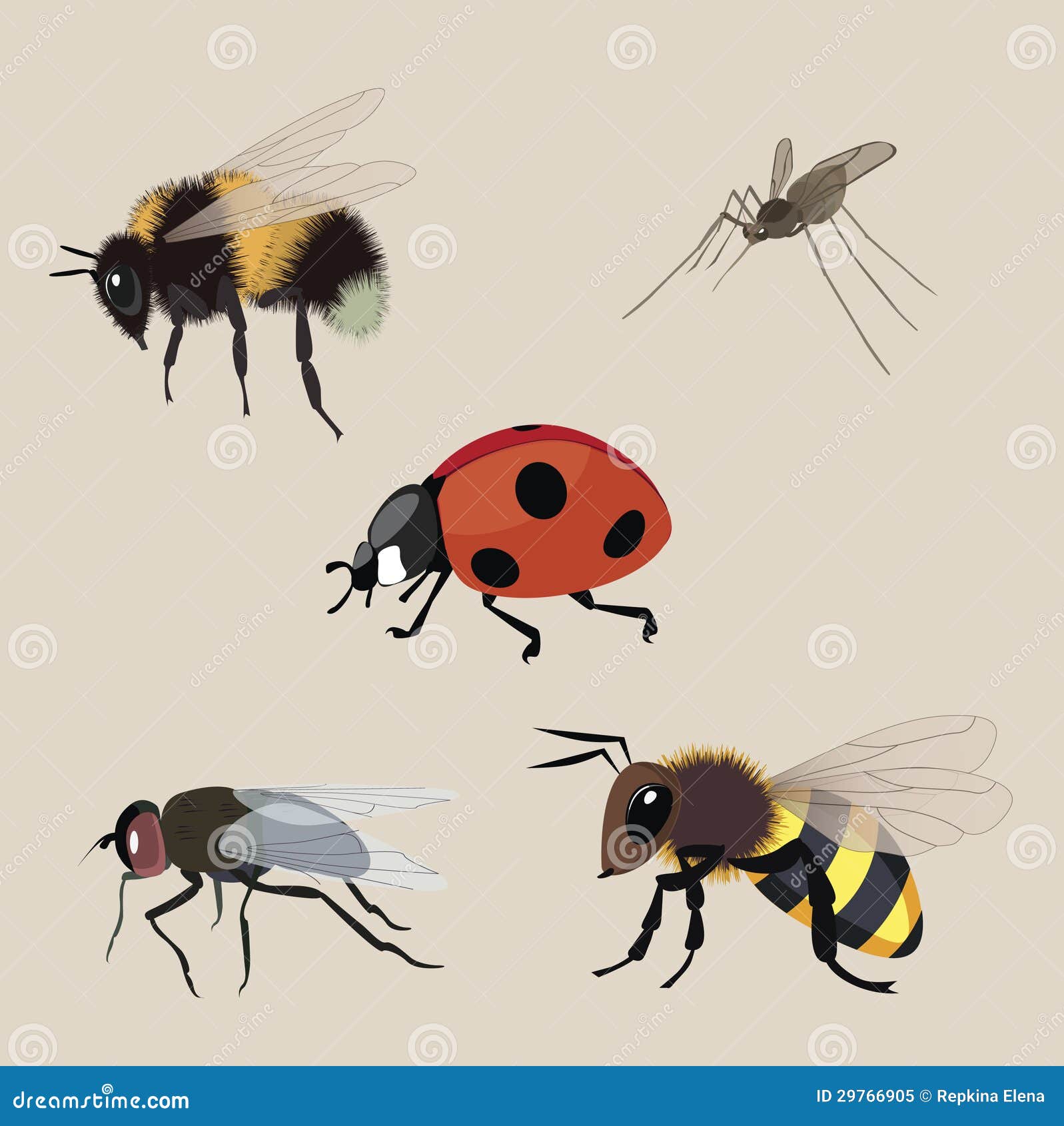Flying Insects Vector Illustration | CartoonDealer.com #12581978