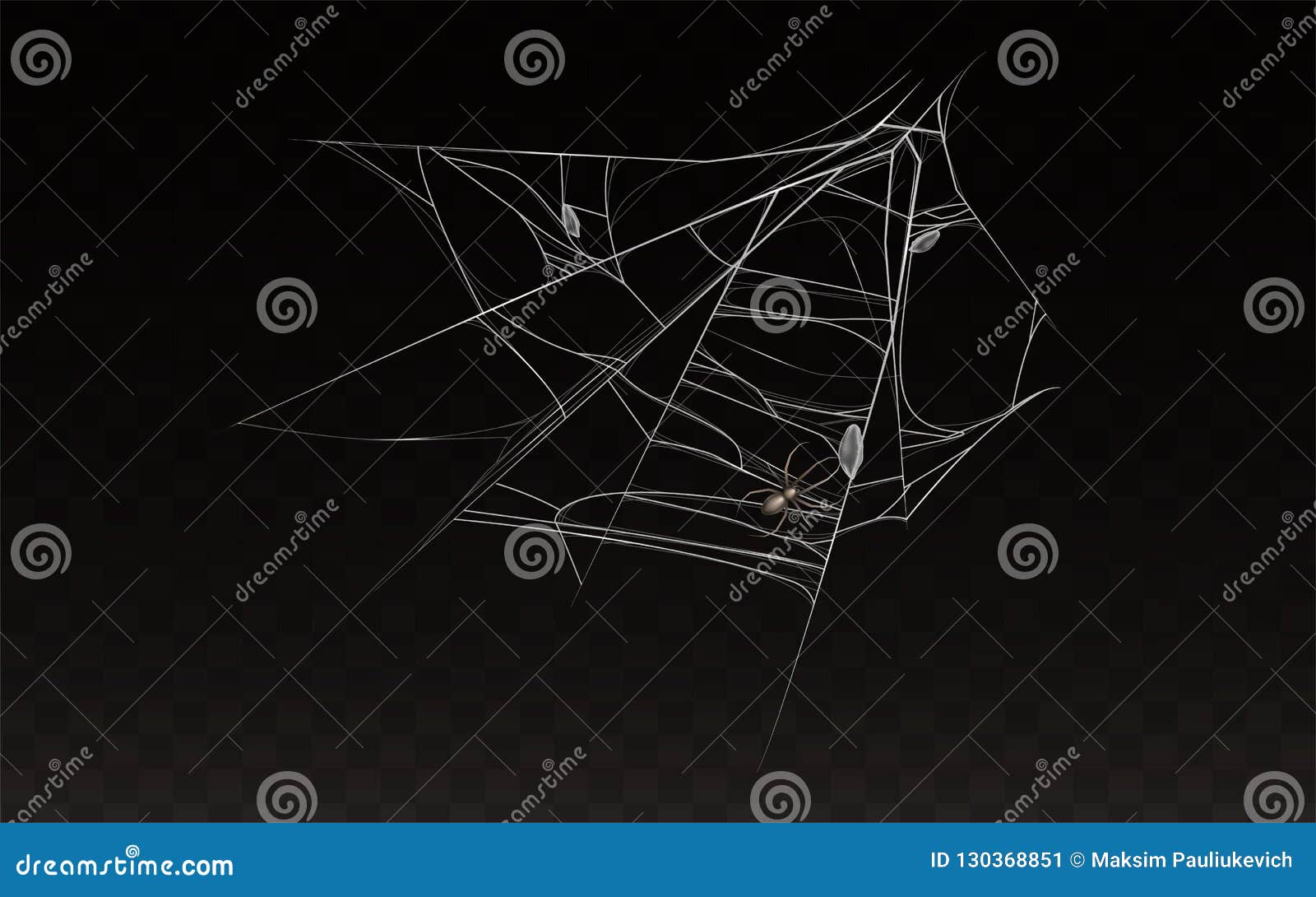 Vector Collection of Realistic Web with Spider Stock Vector ...