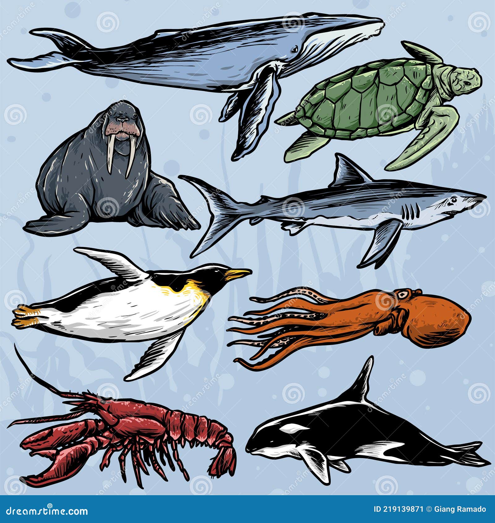 Vector Collection of Sea Creatures Hand Drawn Style Stock Vector ...