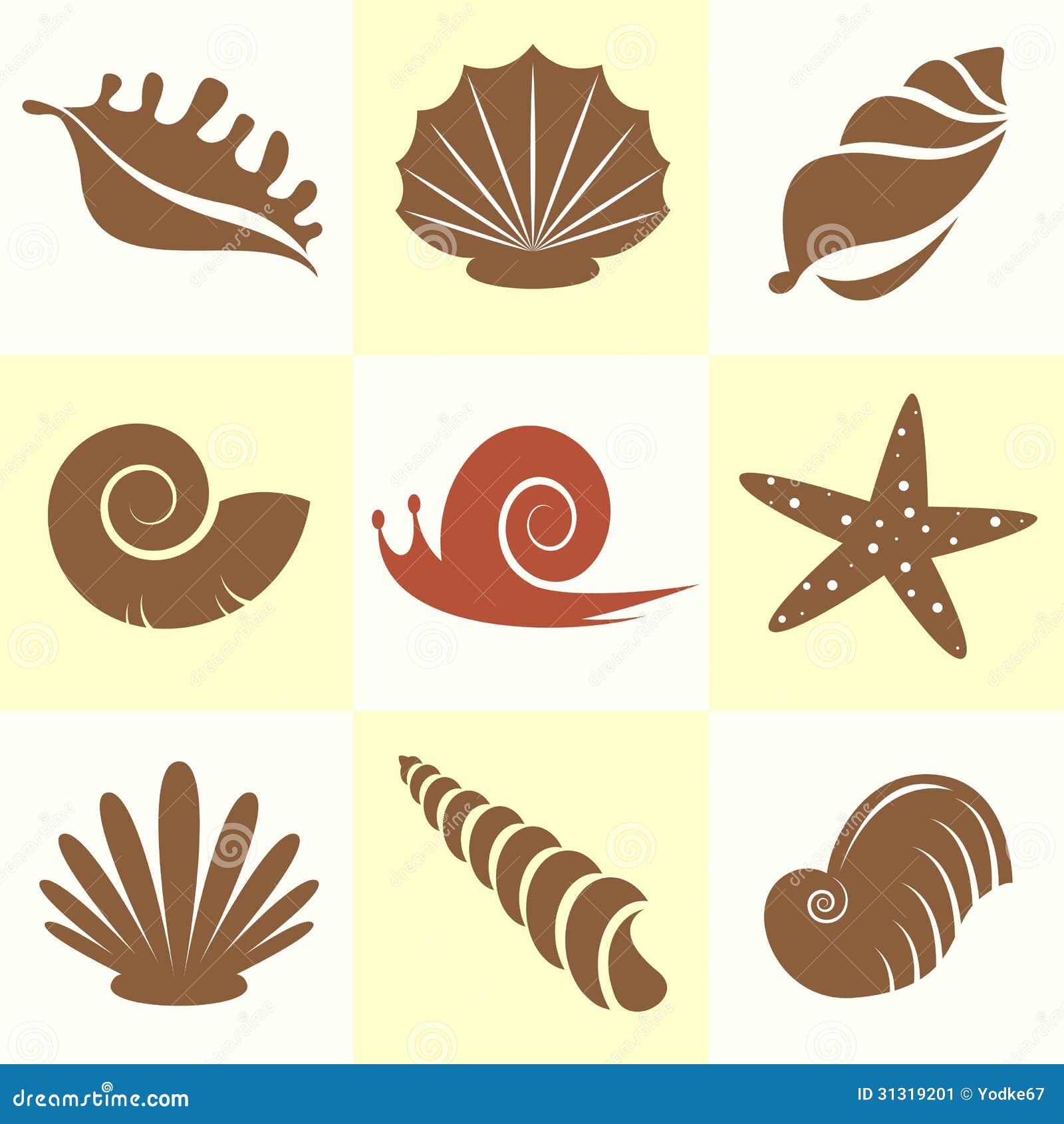 Vector Collection of Sea Shells Stock Vector - Illustration of mollusk ...