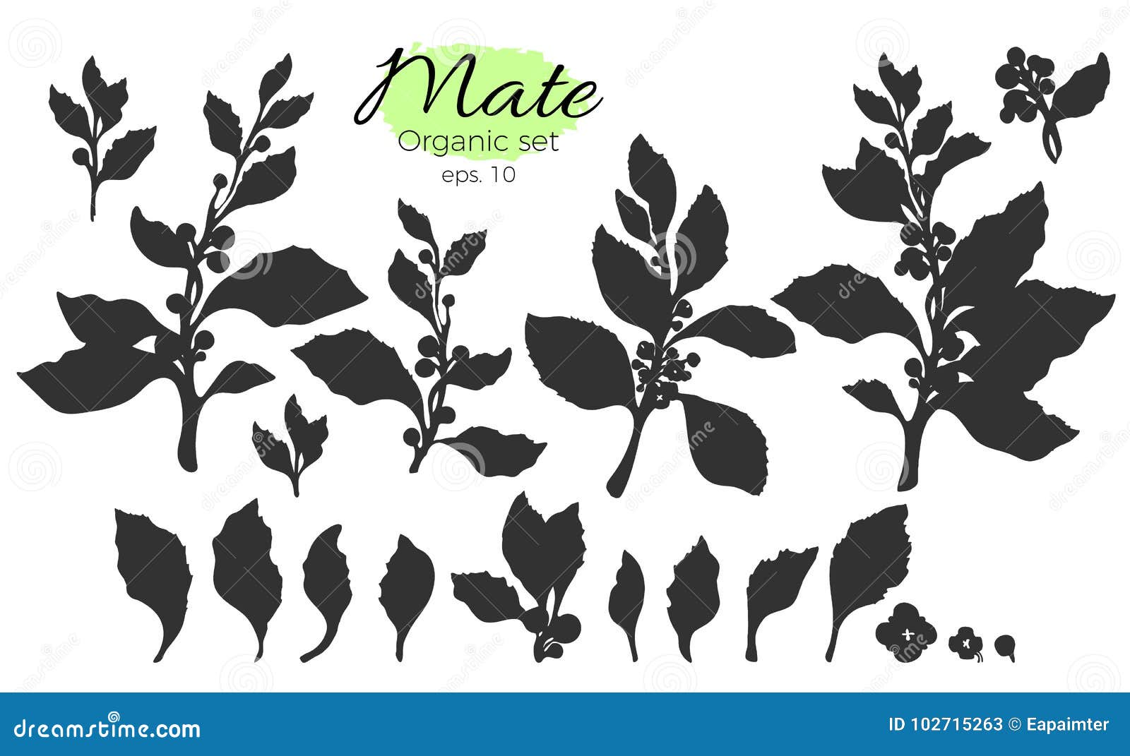 Vector Collection of Silhouette Branches. Shape Organic Set Stock ...