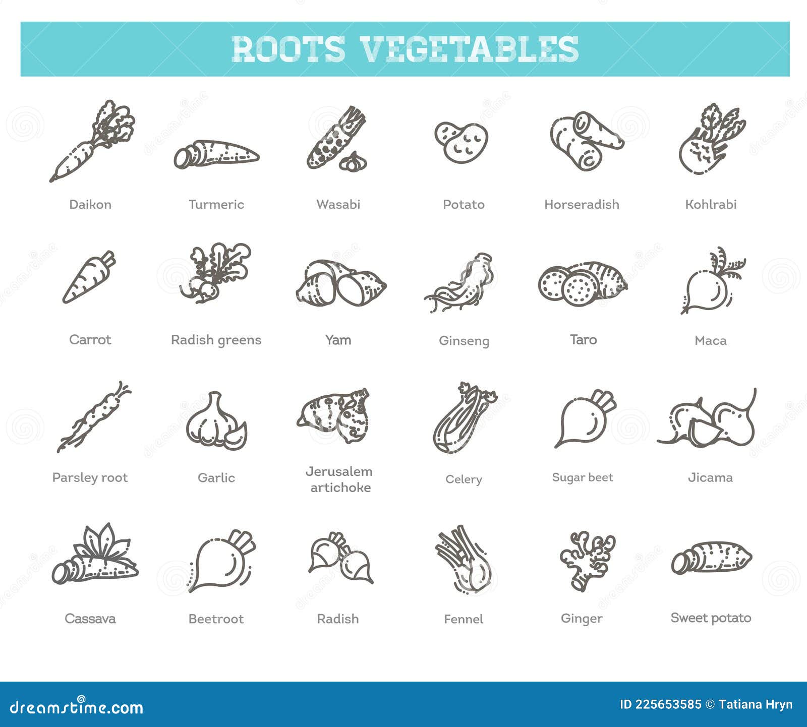 Basic Root Vegetables Thin Line Icon Set Stock Vector - Illustration of ...