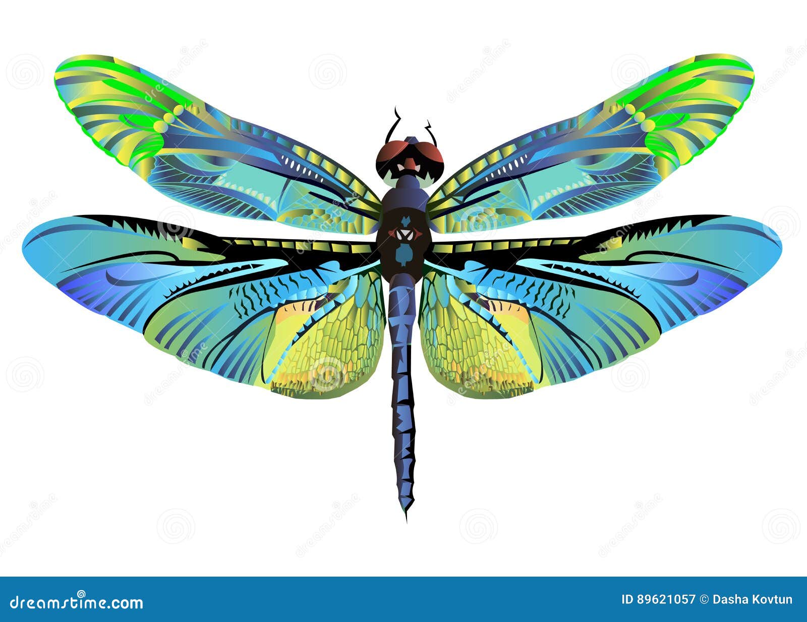 Vector Color Art Dragonfly Nature Wildlife Stock Vector - Illustration ...