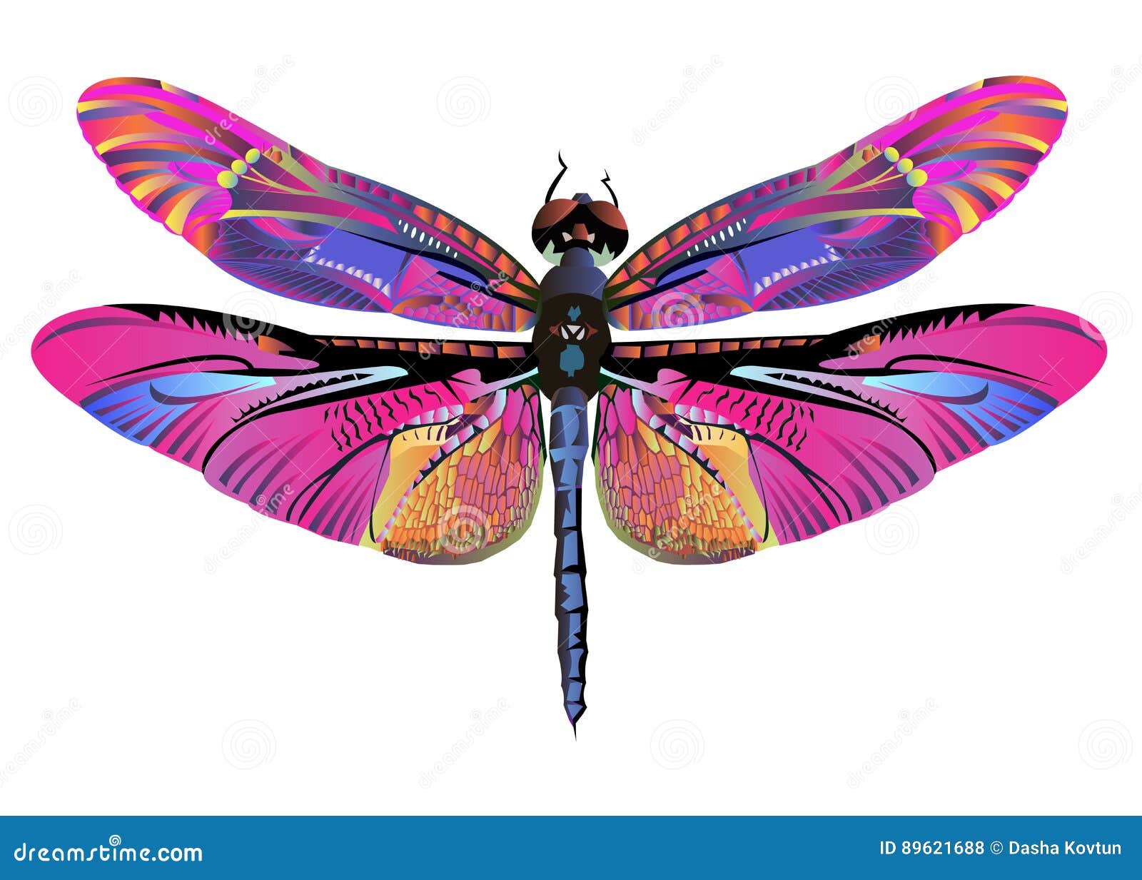 Vector Color Art Dragonfly Nature Wildlife Stock Illustration ...