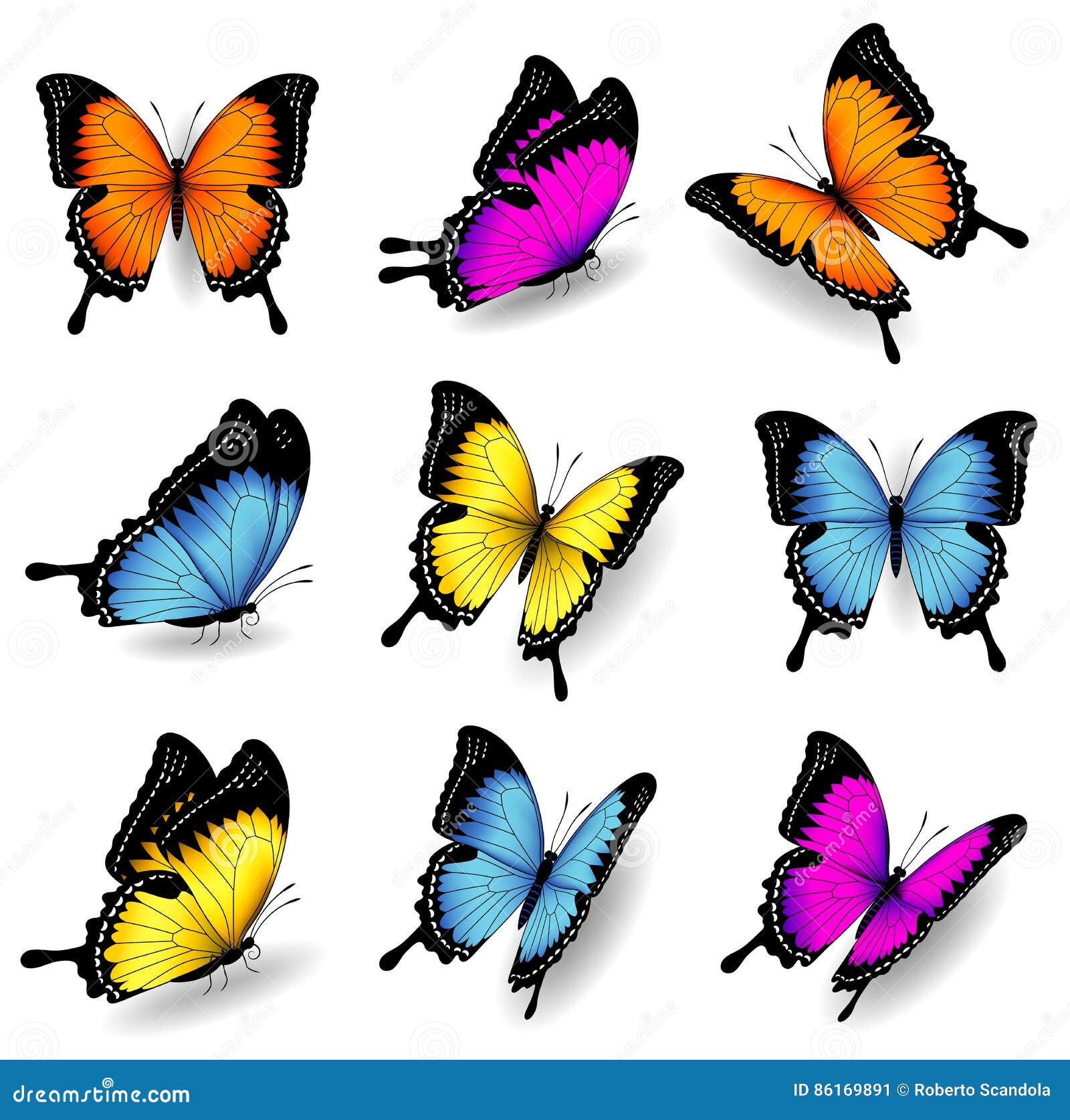 Vector Color Butterfly Illustrations Stock Vector - Illustration of ...