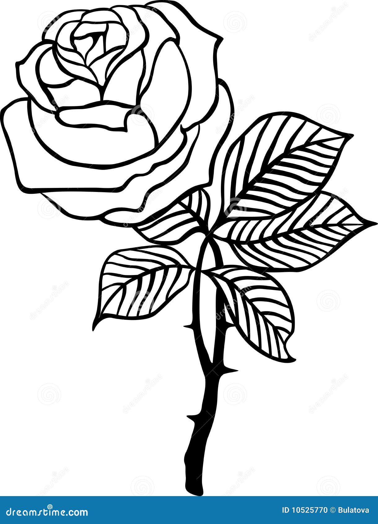 Vector Color De Rosa Del Negro Ilustración del Vector - Ilustración de ...