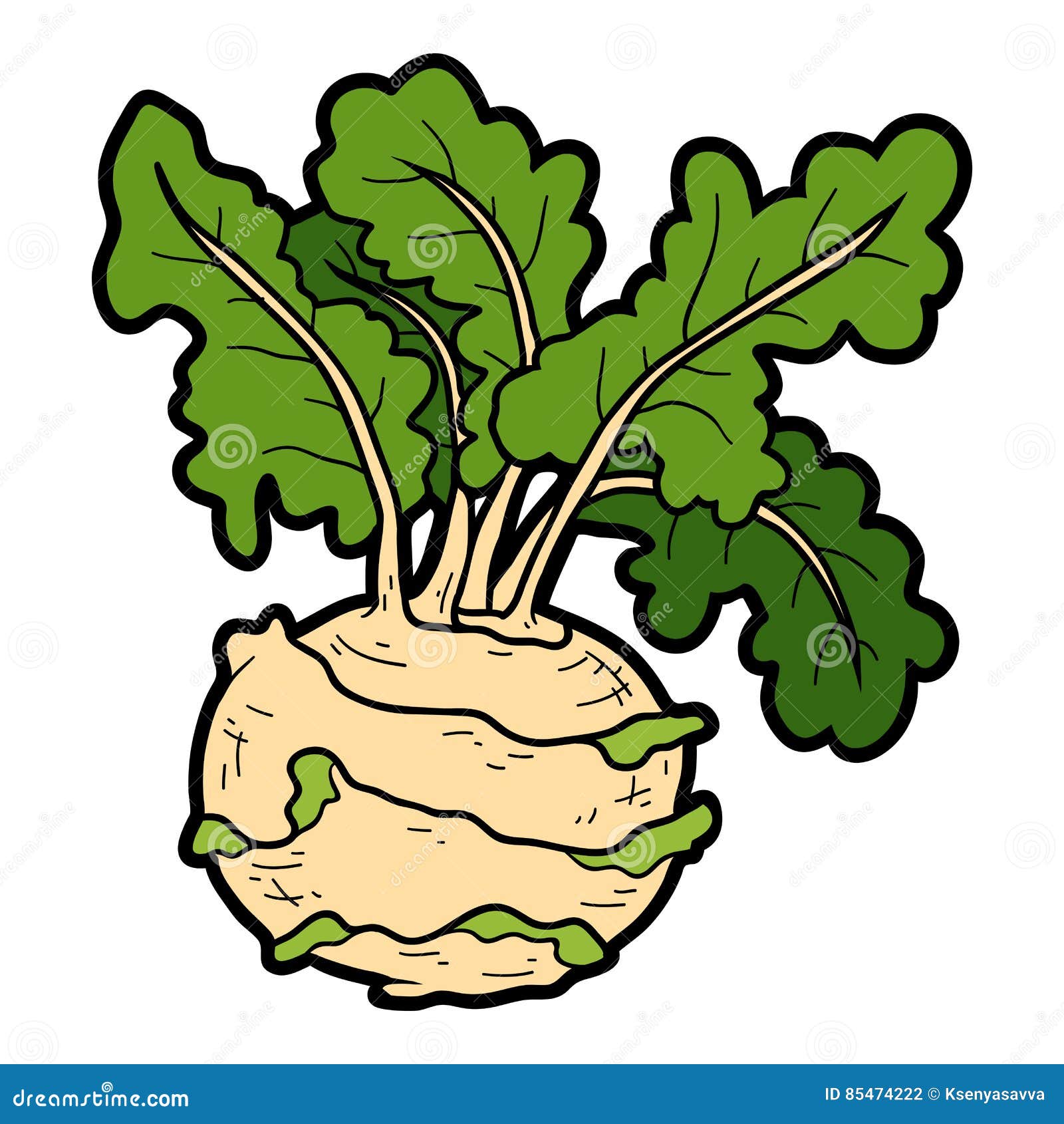 Vector Color Illustration, Colorful Vegetables, Kohlrabi Stock Vector ...