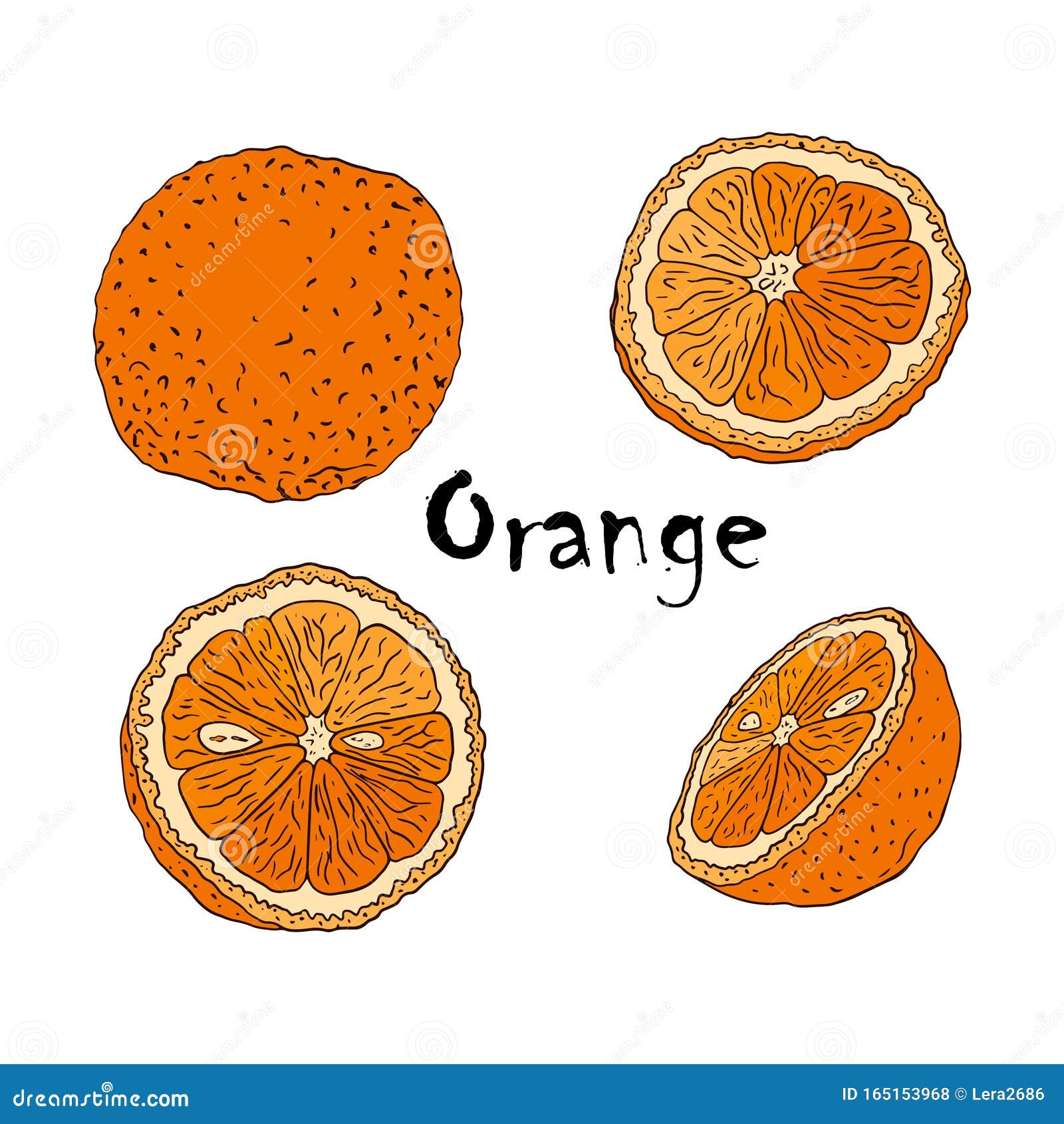 Vector Color Illustration with Oranges. Slice, Half and a Whole Orange ...