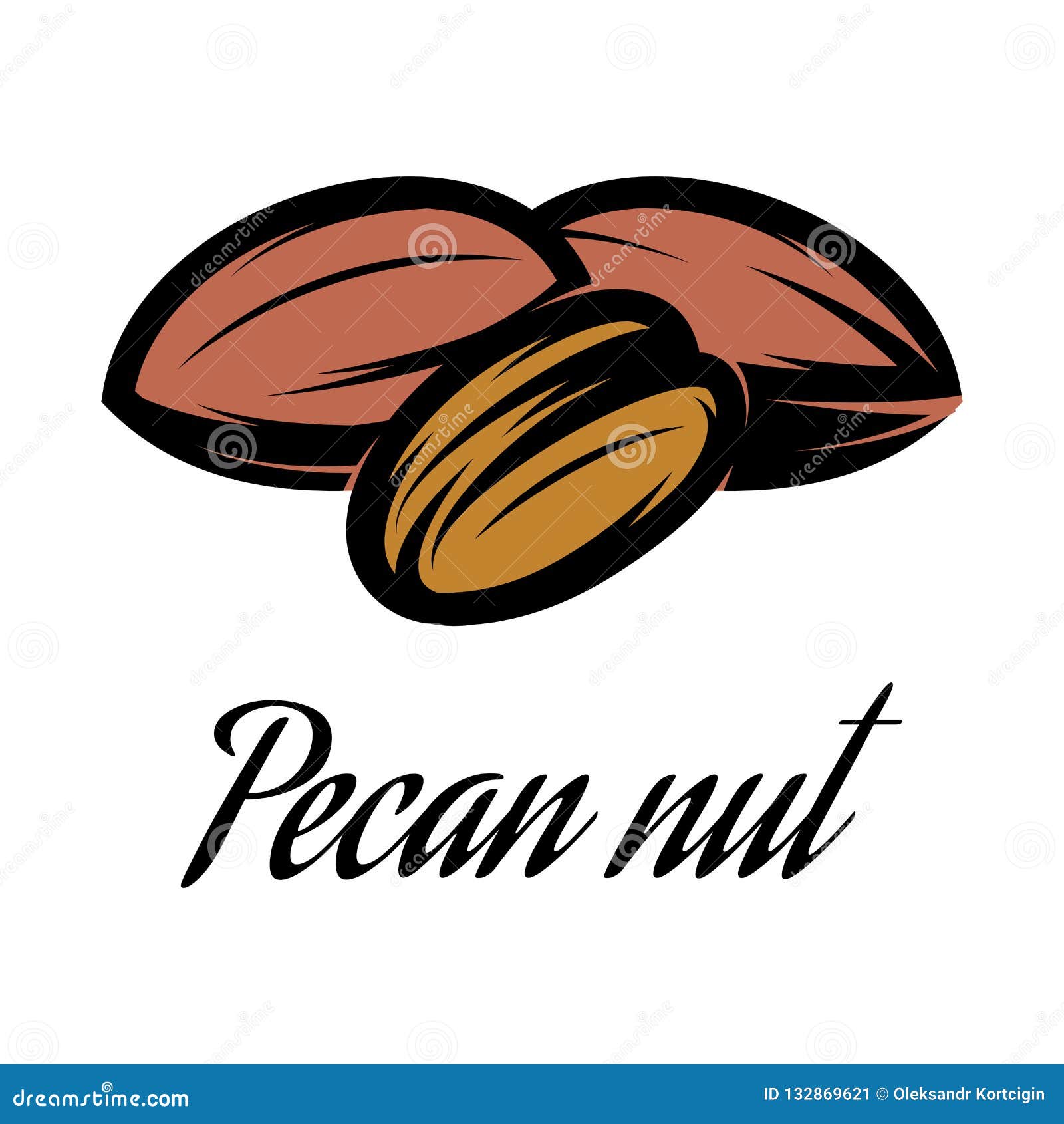 Pecan Nut Color Line Icon. Nuts In The Shell And With Leaves. Pictogram ...