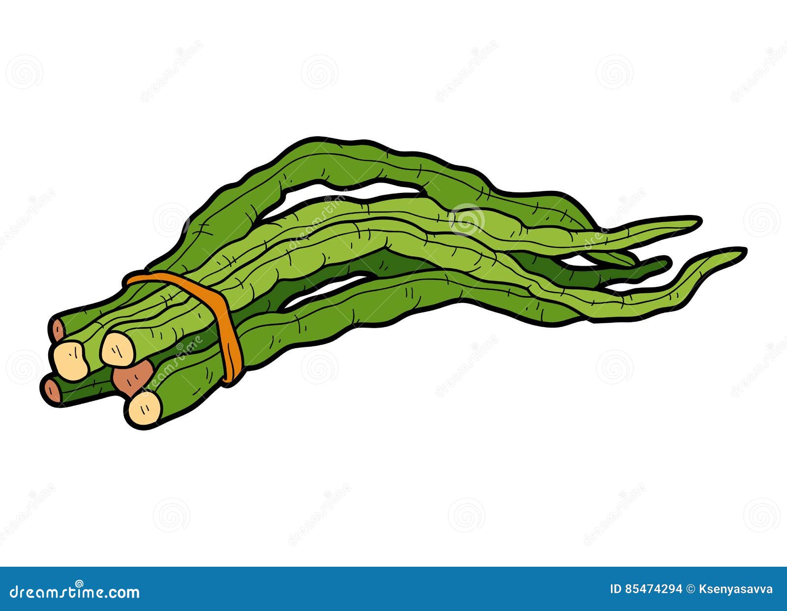 Vector Color Illustration, Vegetables, Chinese Long Bean Stock Vector ...