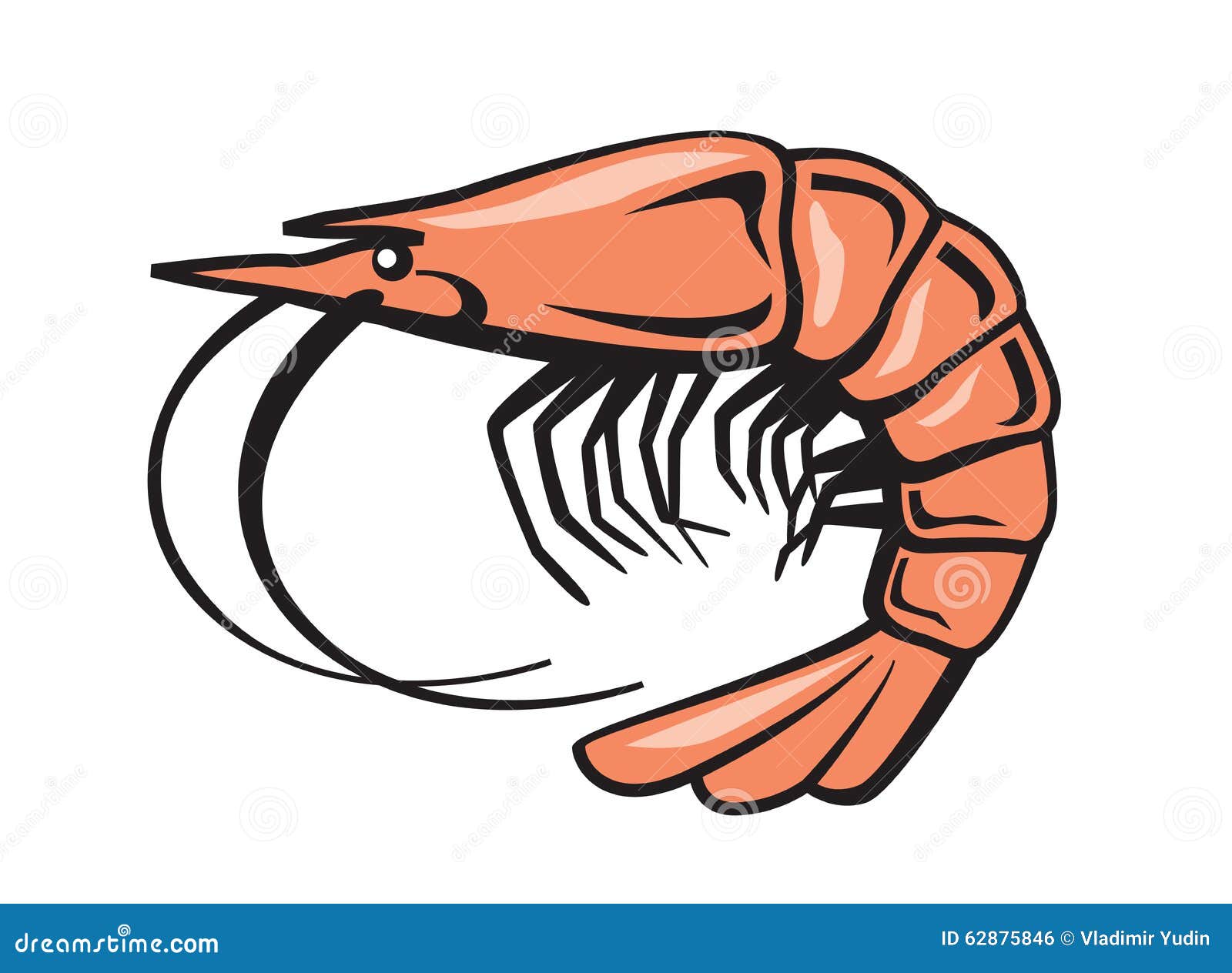 Vector color prawn stock vector. Illustration of icon - 62875846
