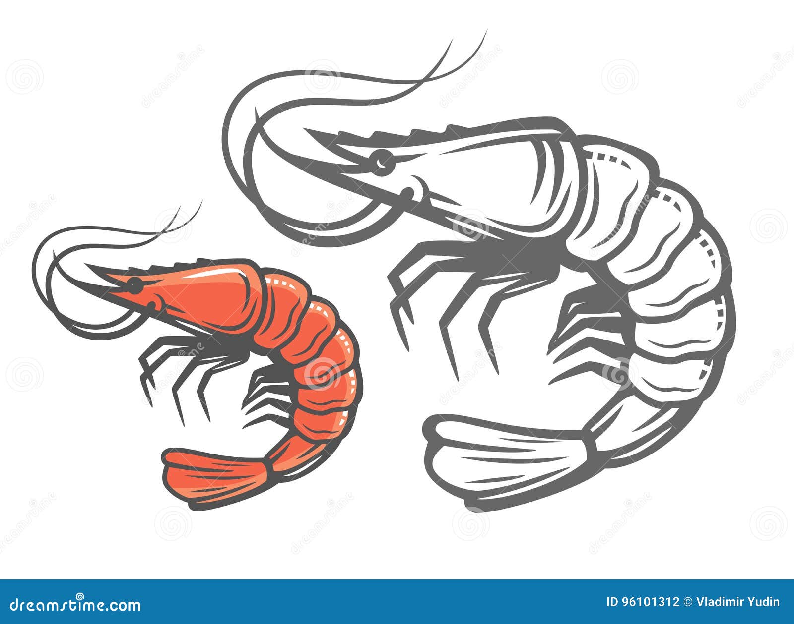 Prawn Cartoon Vector | CartoonDealer.com #16365463