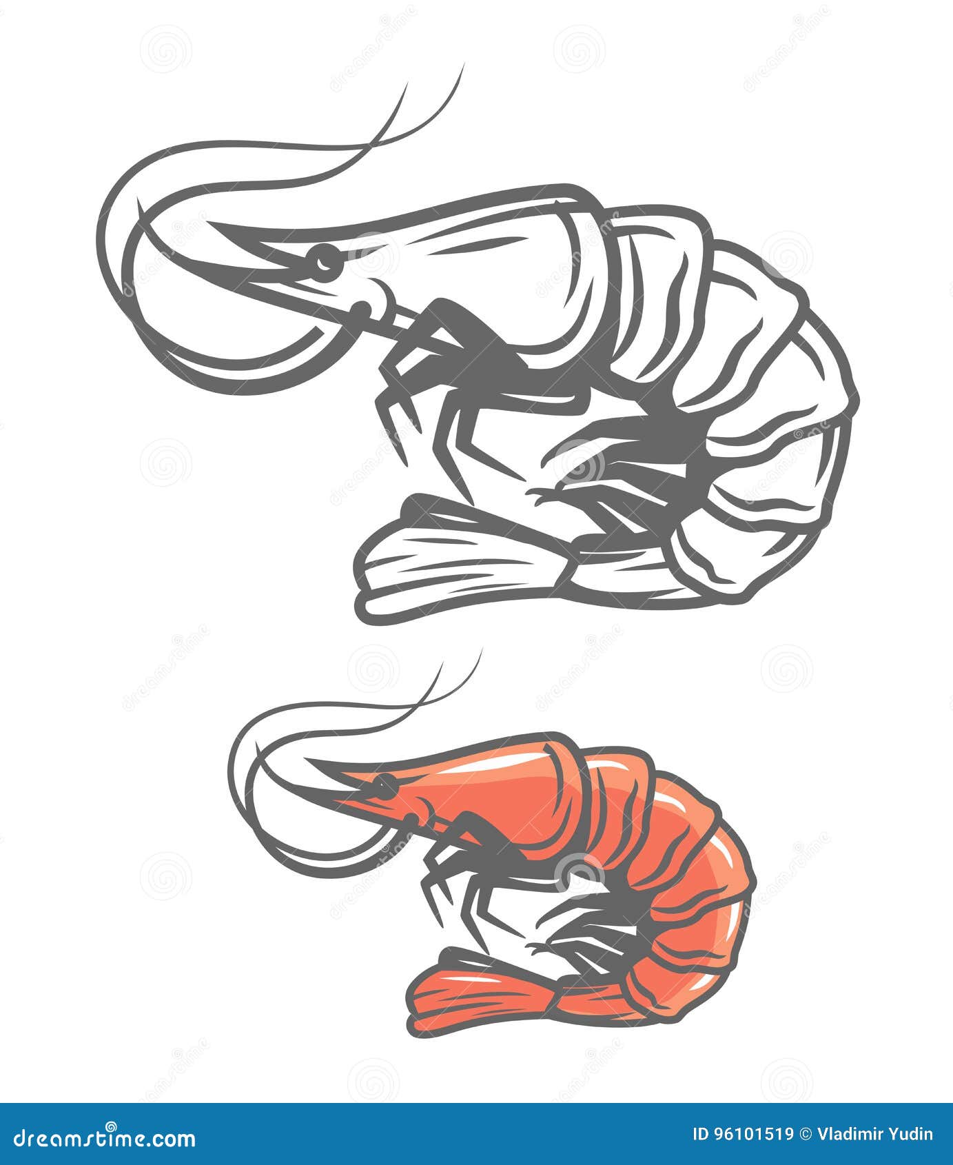 Prawn Cartoon Vector | CartoonDealer.com #16365463