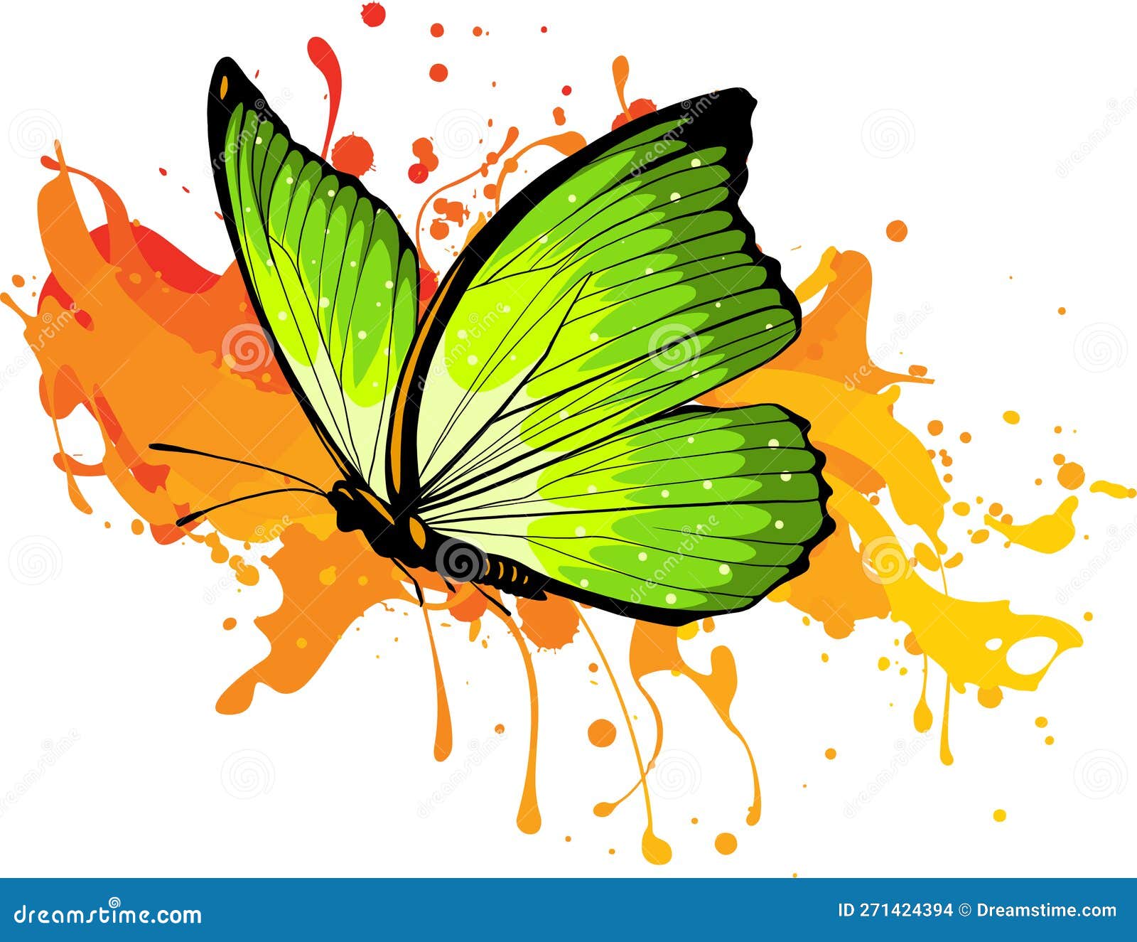 Vector Colored Butterfly Vector Illustration. Stock Vector ...
